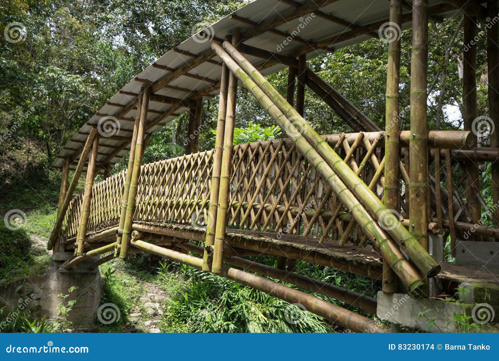 Bamboo Bridge in Tierradentro Stock Photo - Image of south, tropical ...