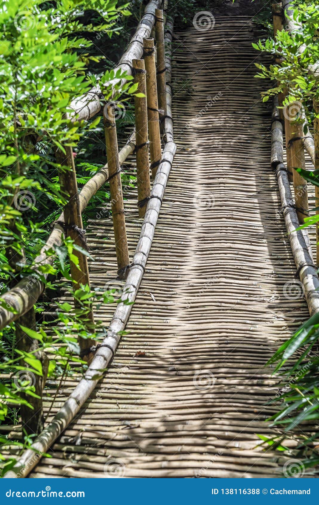 Bamboo Bridge in the Jungle Stock Photo - Image of footbridge, pathway ...