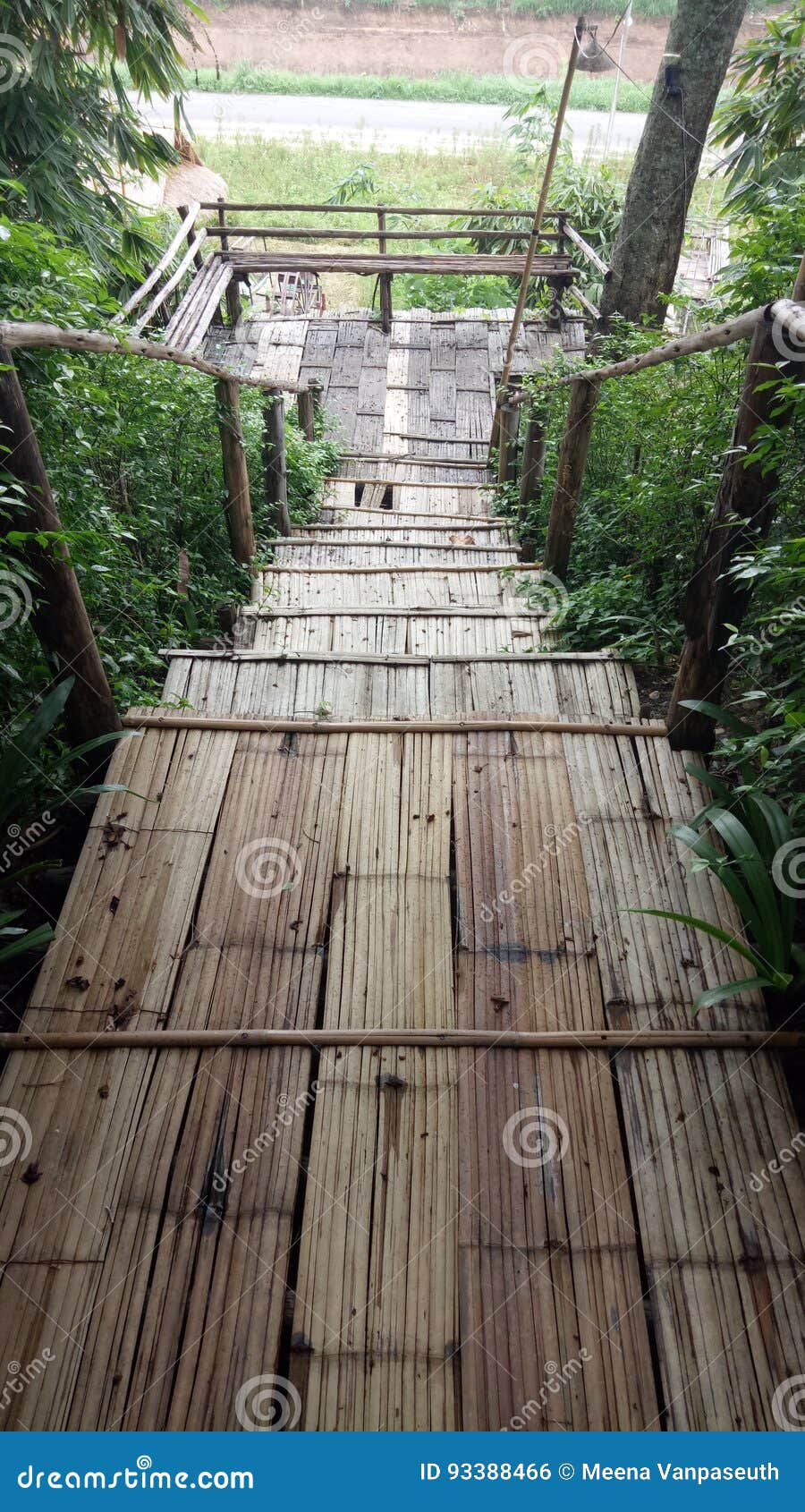 Bamboo brige stock photo. Image of thailand, brige, beautiful - 93388466