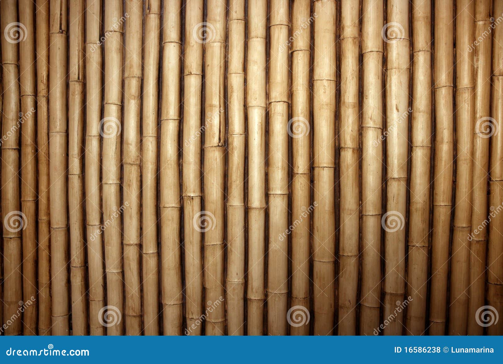4,096 Cane Row Stock Photos - Free & Royalty-Free Stock Photos from ...