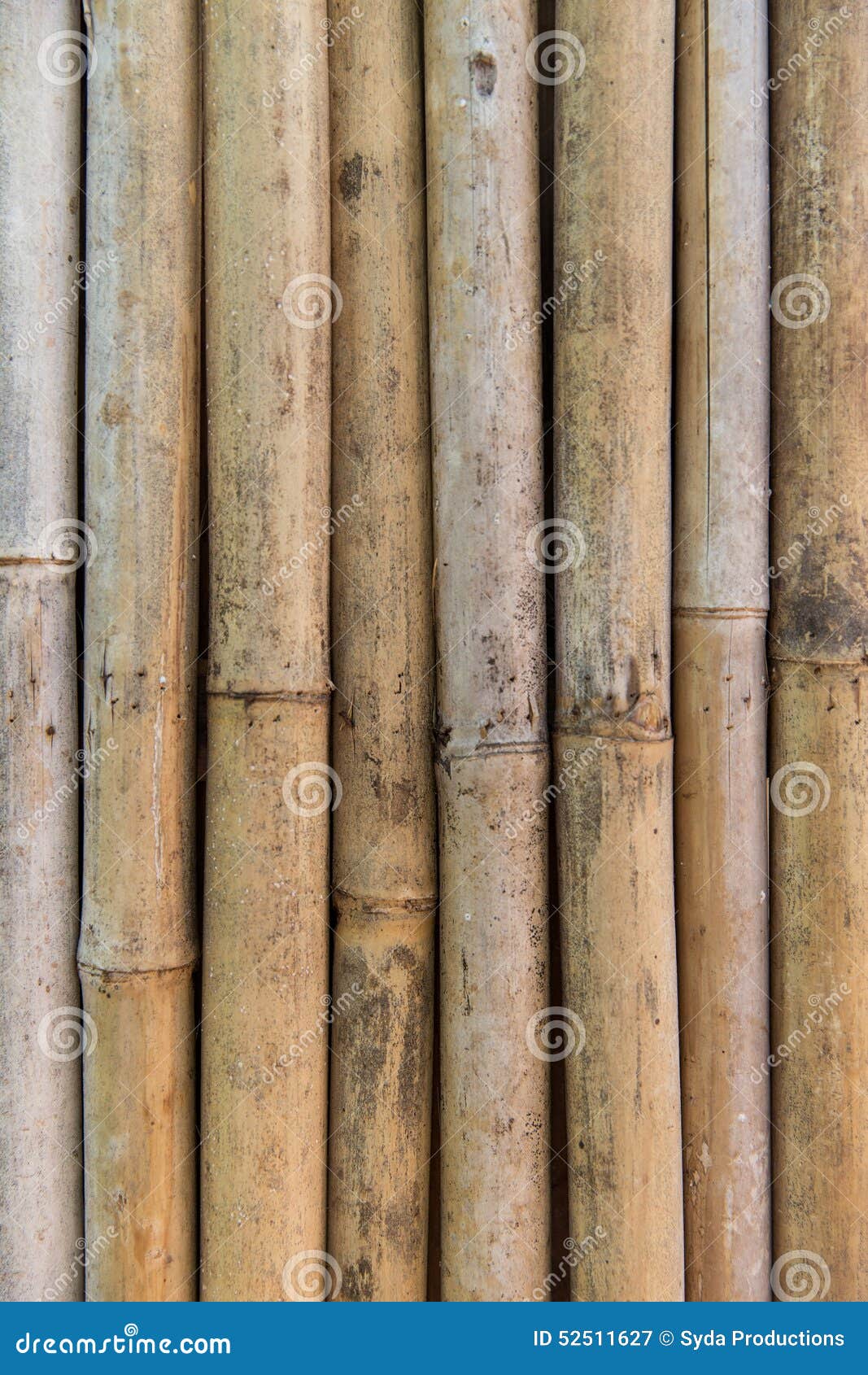 Bamboo cane wall texture stock image. Image of material - 52511627