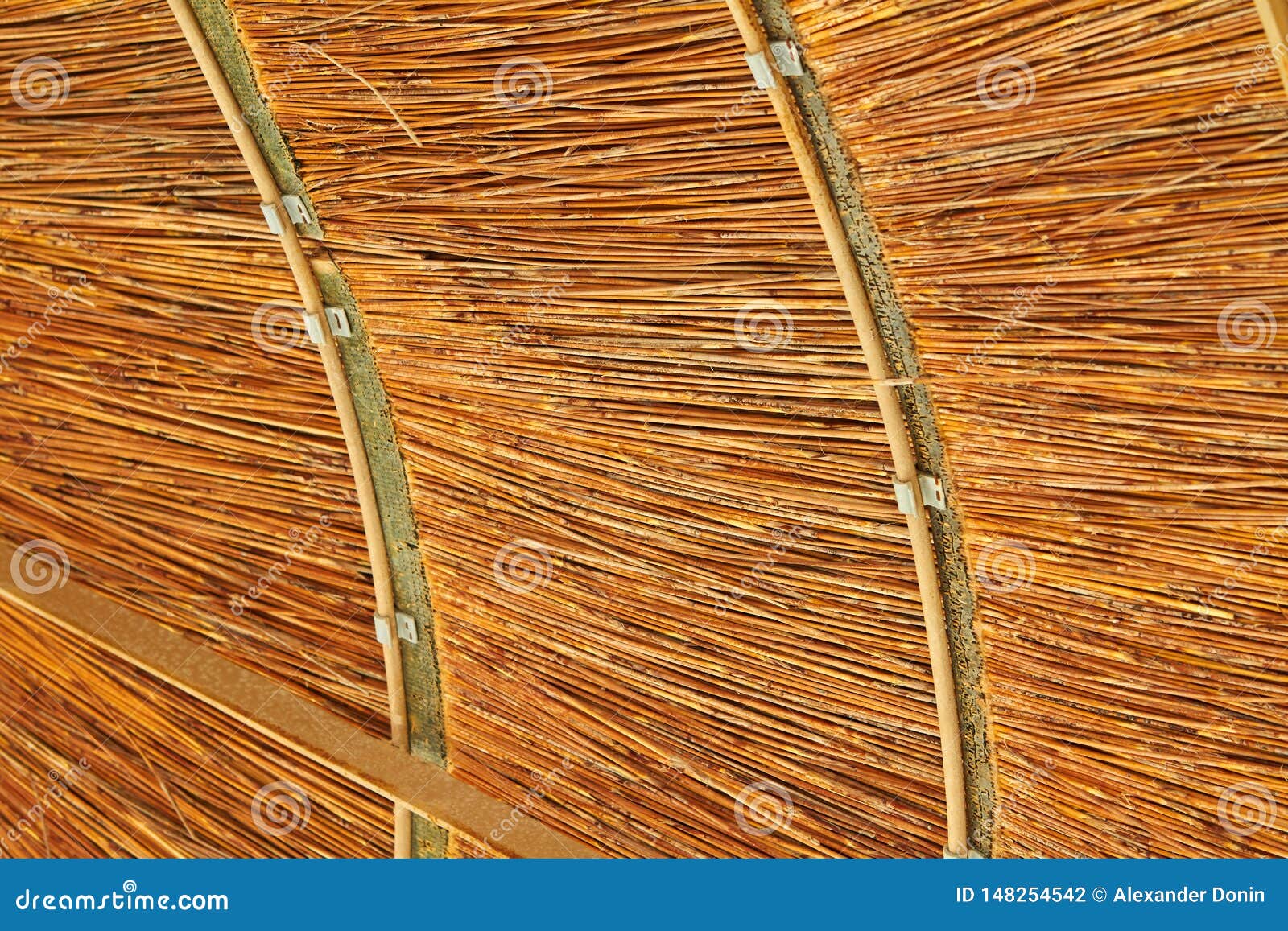 Bamboo Canopy To Create Shade Stock Photo - Image of backdrop, brown ...