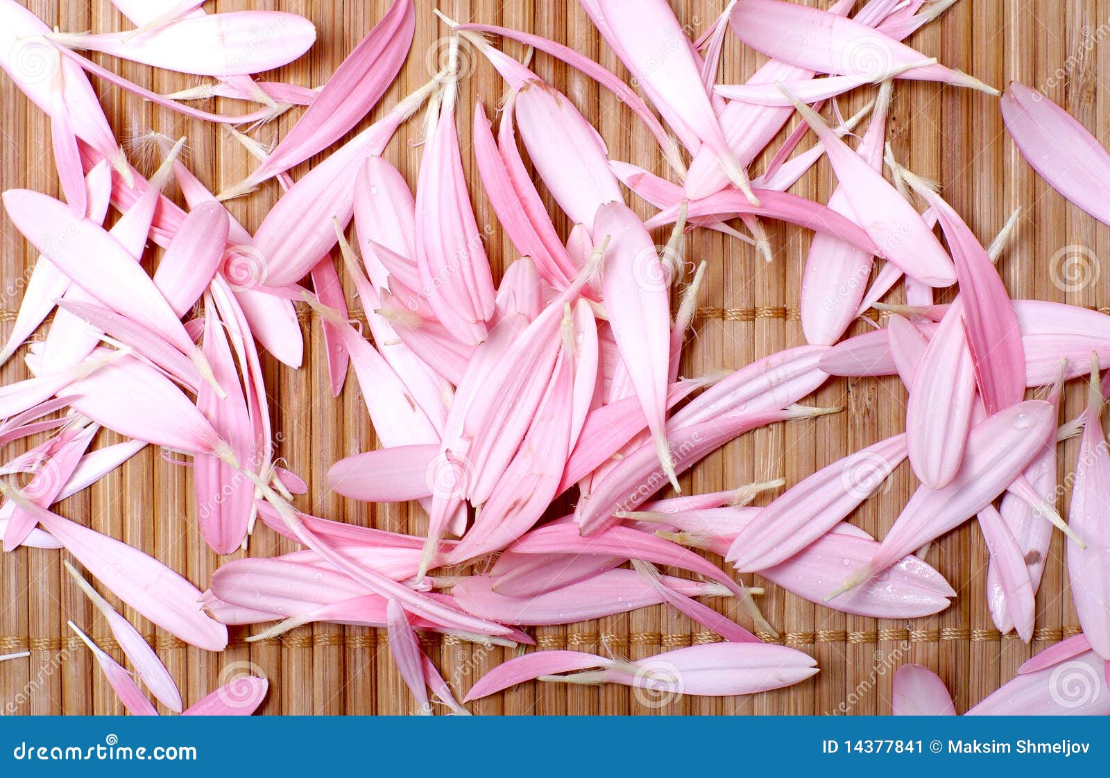 A Bamboo Carpet Covered with Pink Petals Stock Image - Image of natural ...