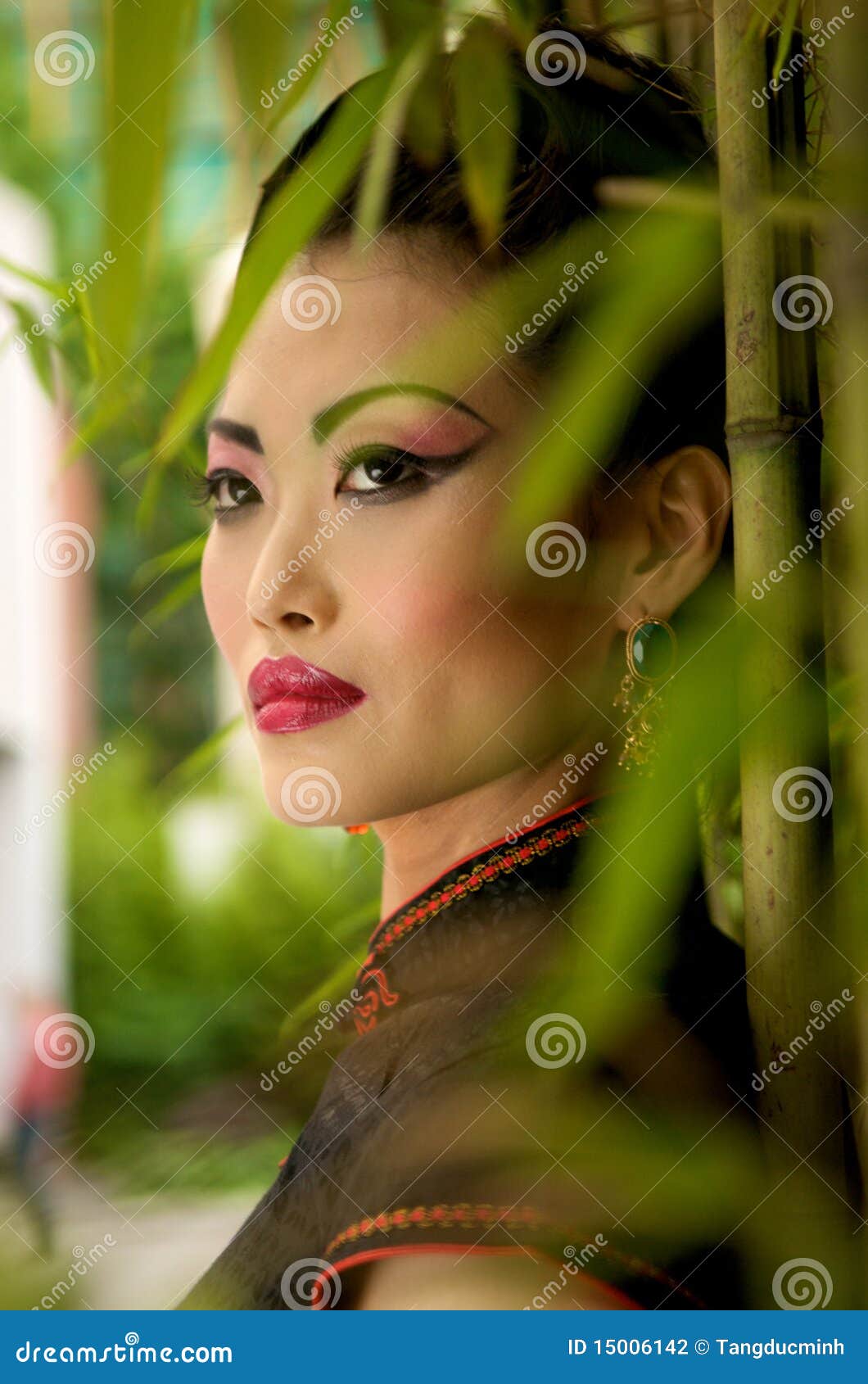 Bamboo Chinese model stock photo. Image of oriental, portrait - 15006142