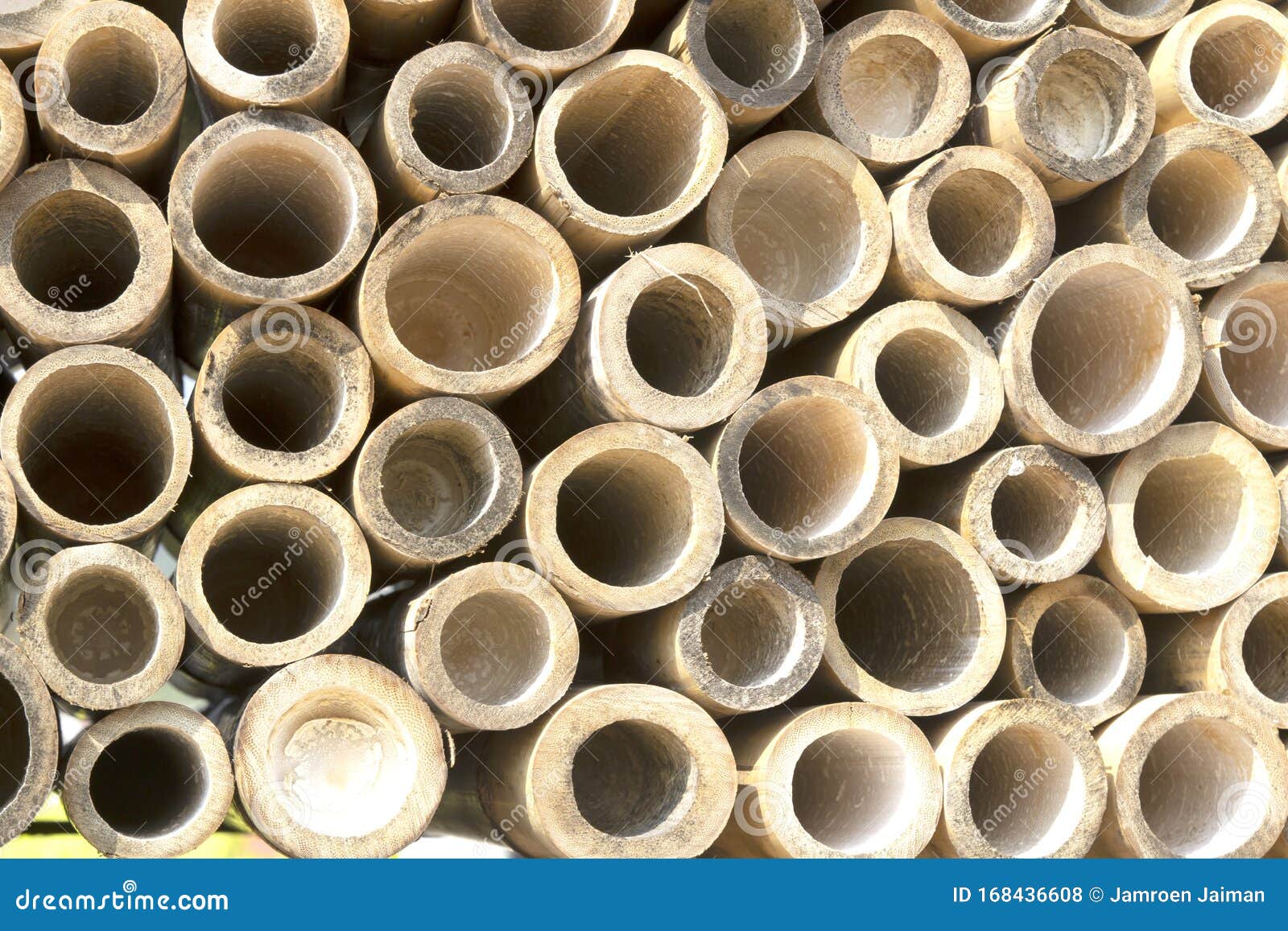 Bamboo Circle Cross Section Texture for Background Stock Photo - Image ...