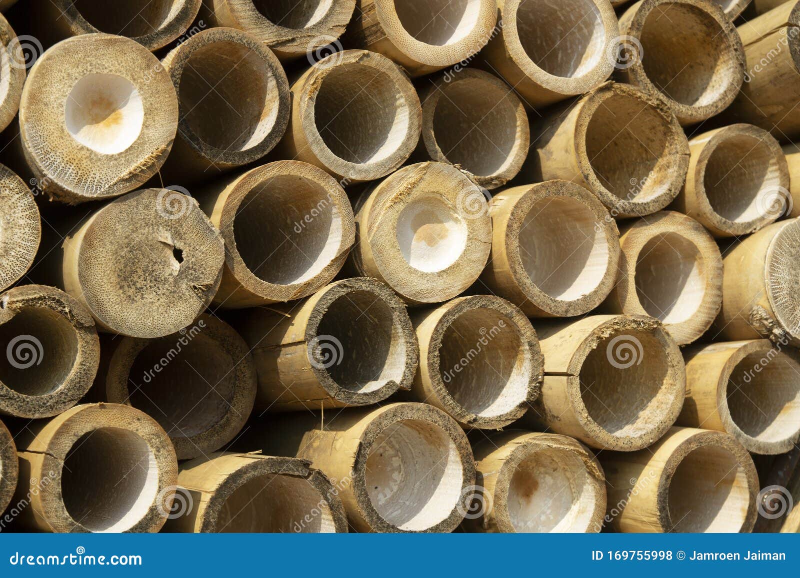Bamboo Circle Cross Section Texture For Background Stock Photography ...