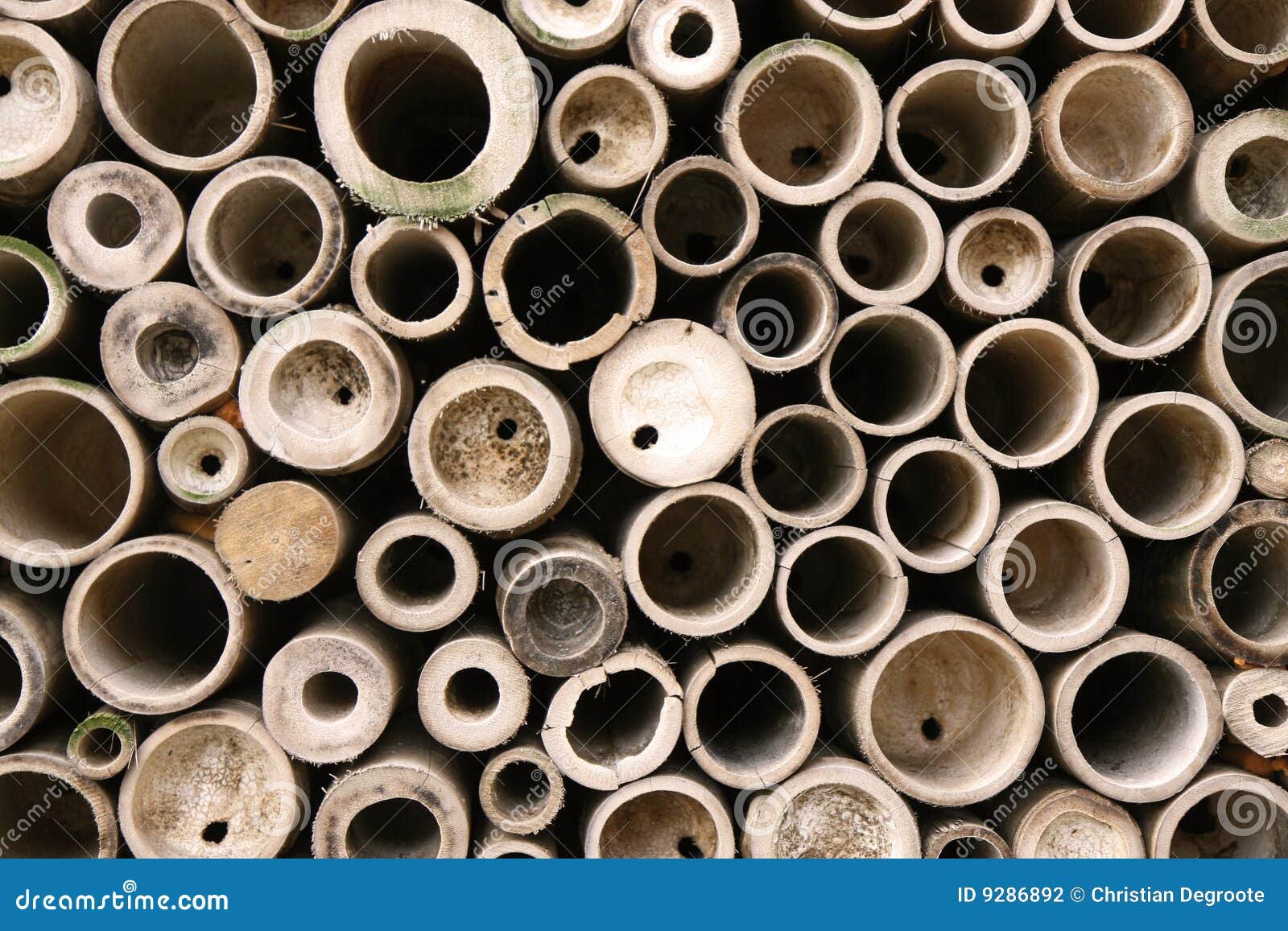 Bamboo Circles stock photo. Image of wooden, close, closeup - 9286892