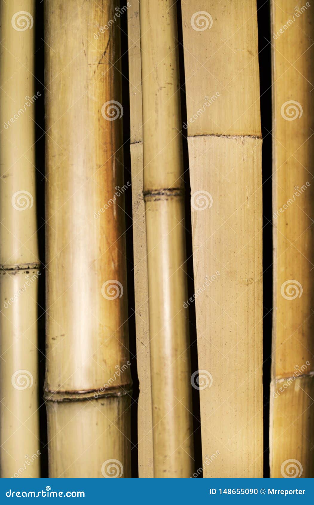 Bamboo stock photo. Image of decorative, sticks, stack - 148655090