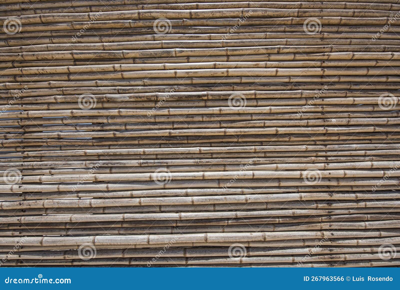 Bamboo Close Up, Nice Grunge Texture for Your Projects Stock Photo ...