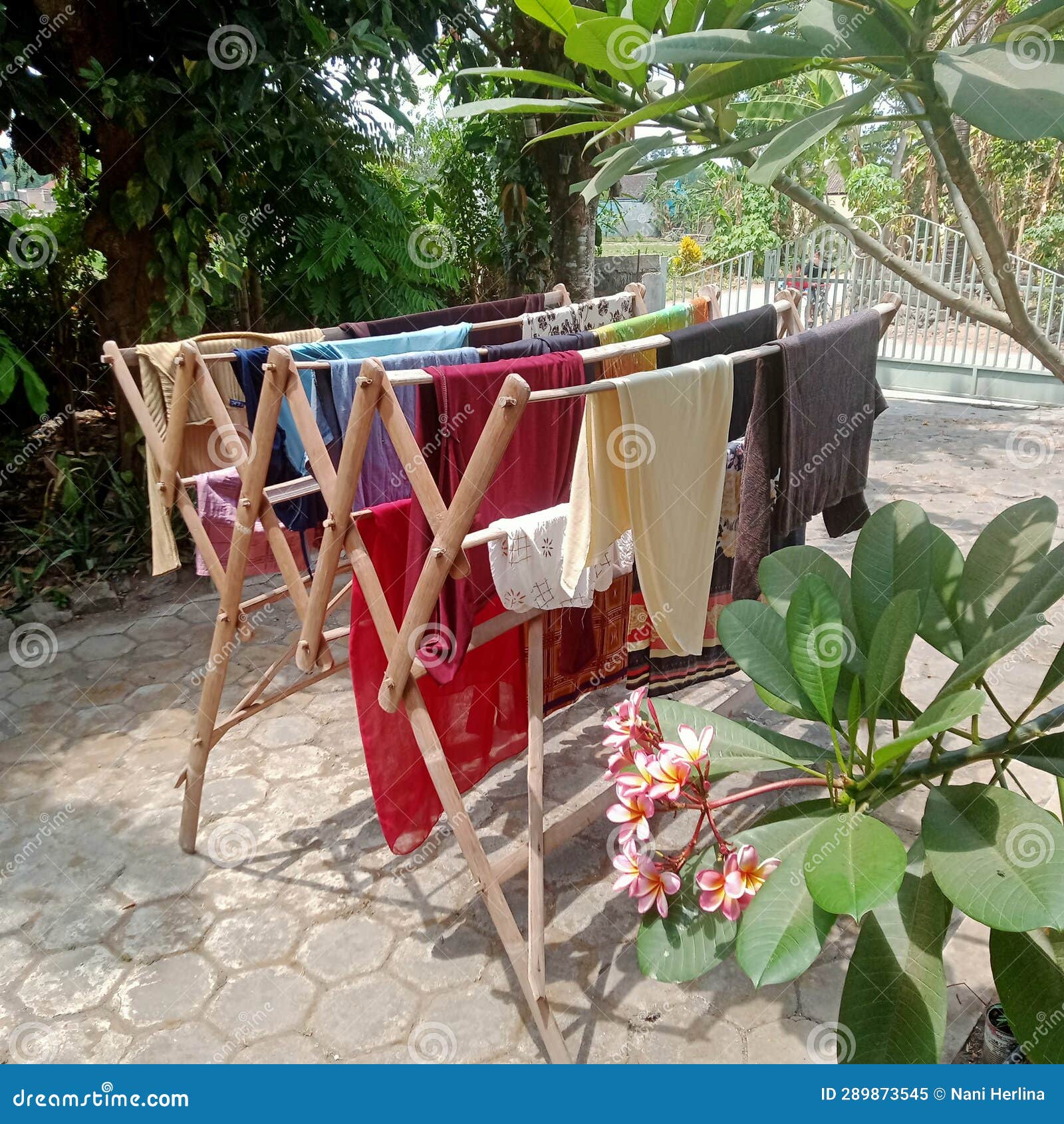Bamboo Clothesline stock image. Image of bamboo, climatology - 289873545