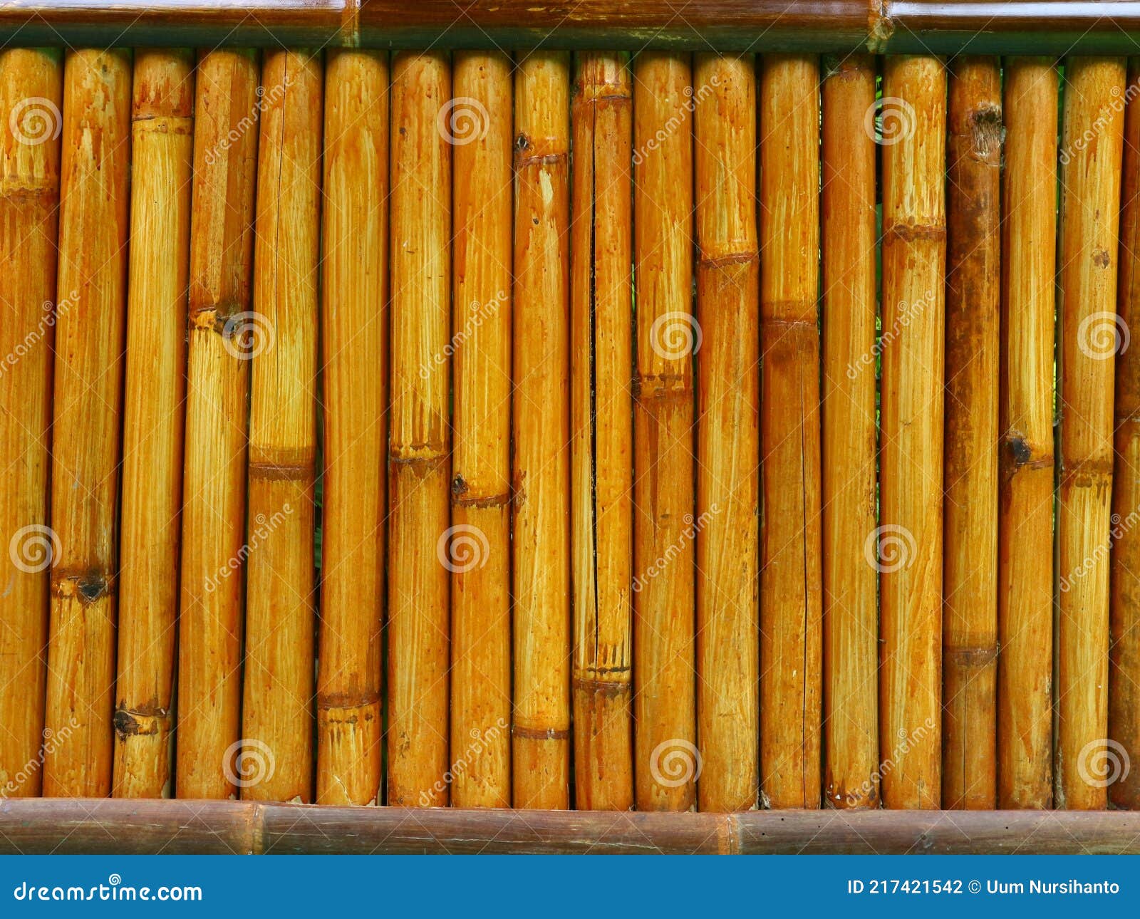 Bamboo Composition for Home and Pages Stock Photo - Image of home ...
