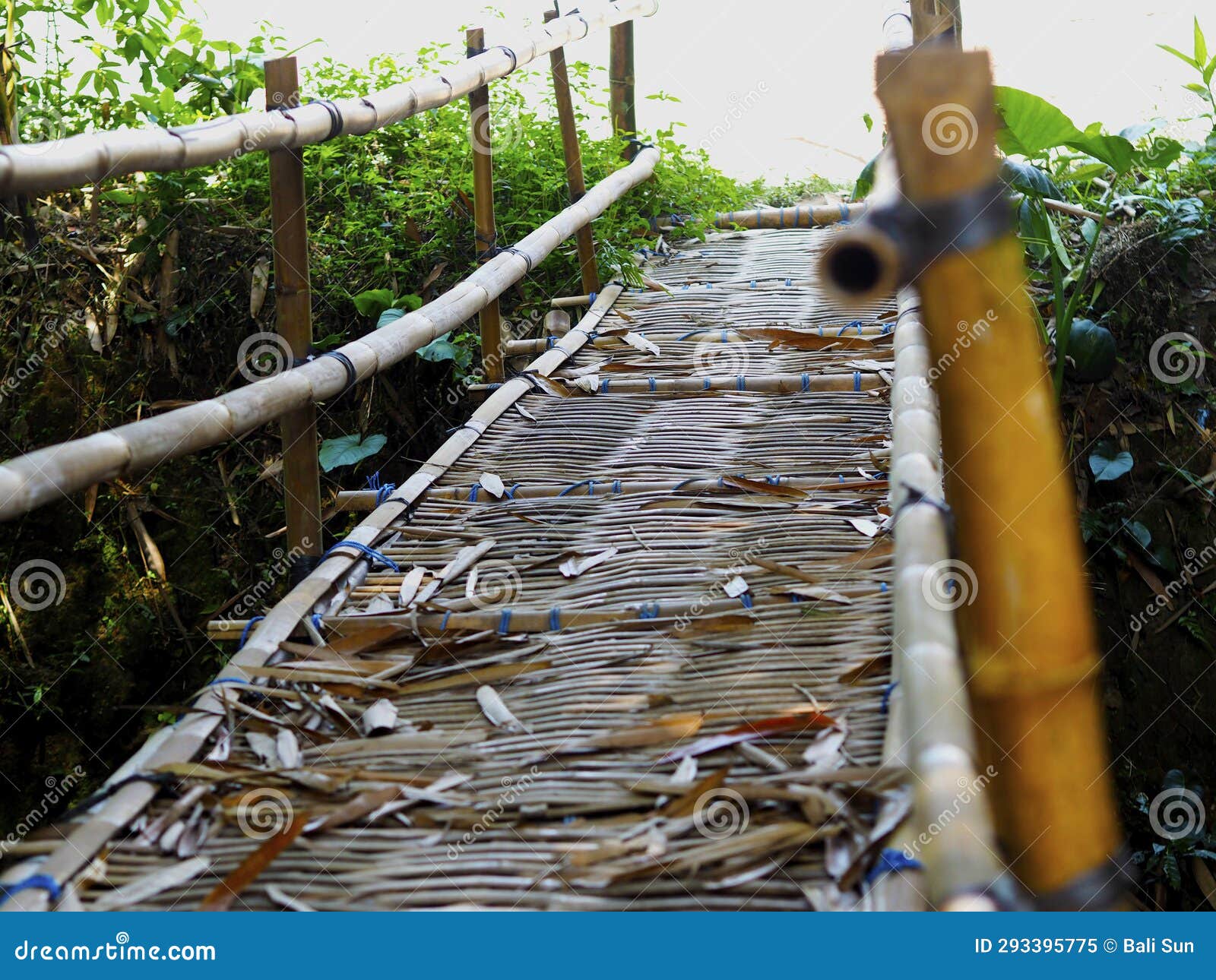 Bamboo connecting bridge stock image. Image of fence - 293395775