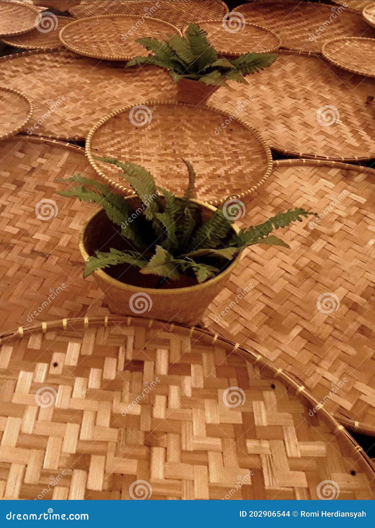 Bamboo Container and Bamboo Tray and Green Leaves Stock Photo - Image ...