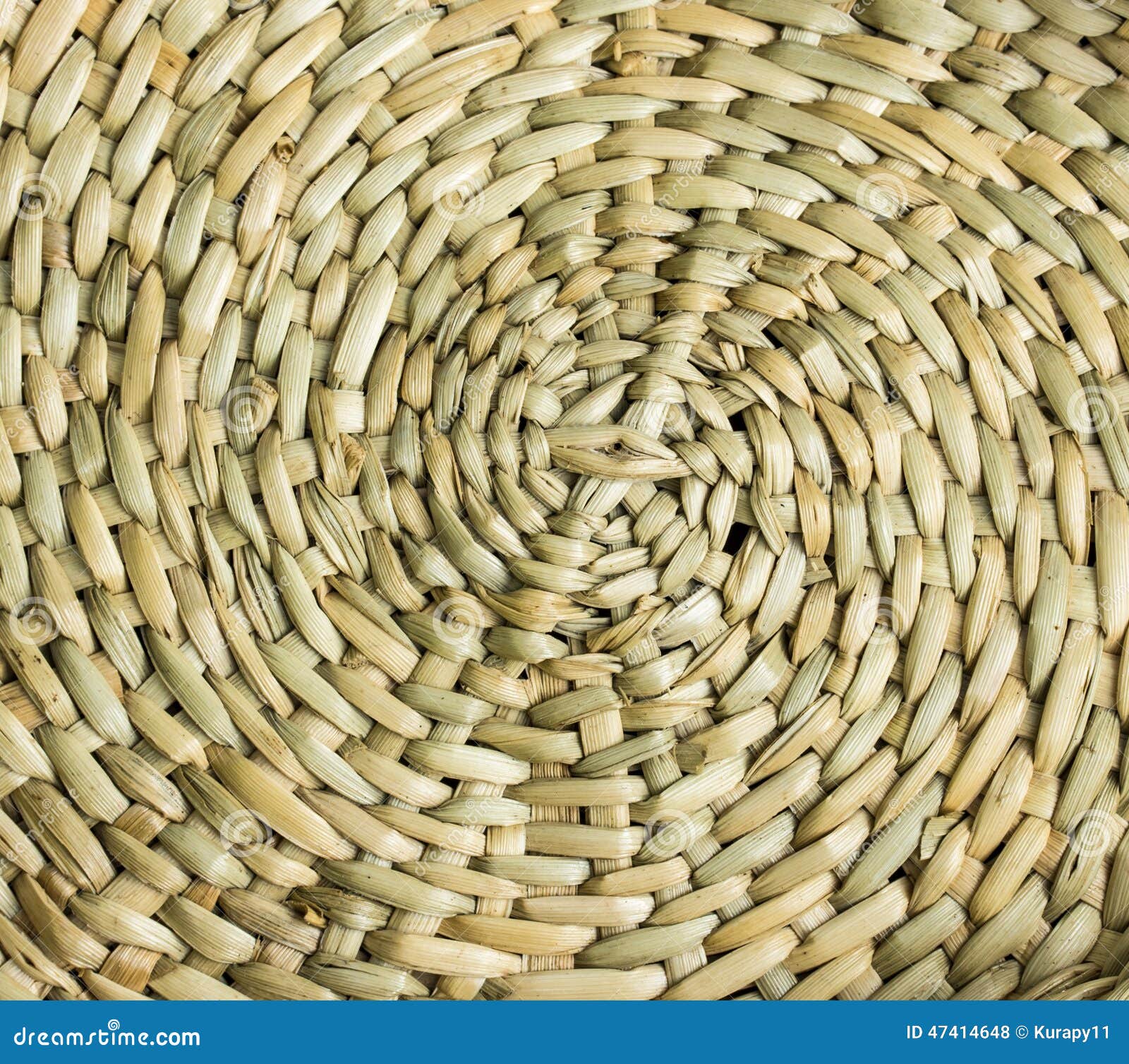 Bamboo is a Cross-made Curved Horizontal Background Stock Photo - Image ...