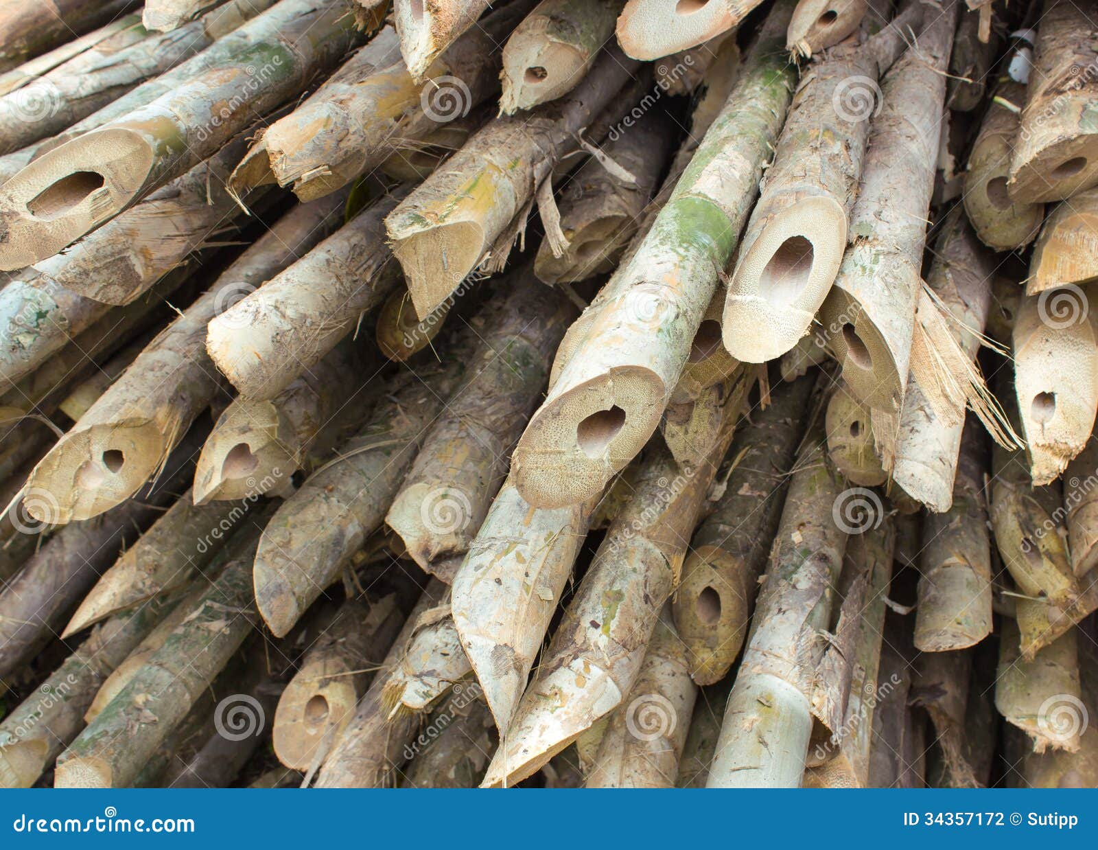 Bamboo cross slice stock photo. Image of bamboo, antiques - 34357172