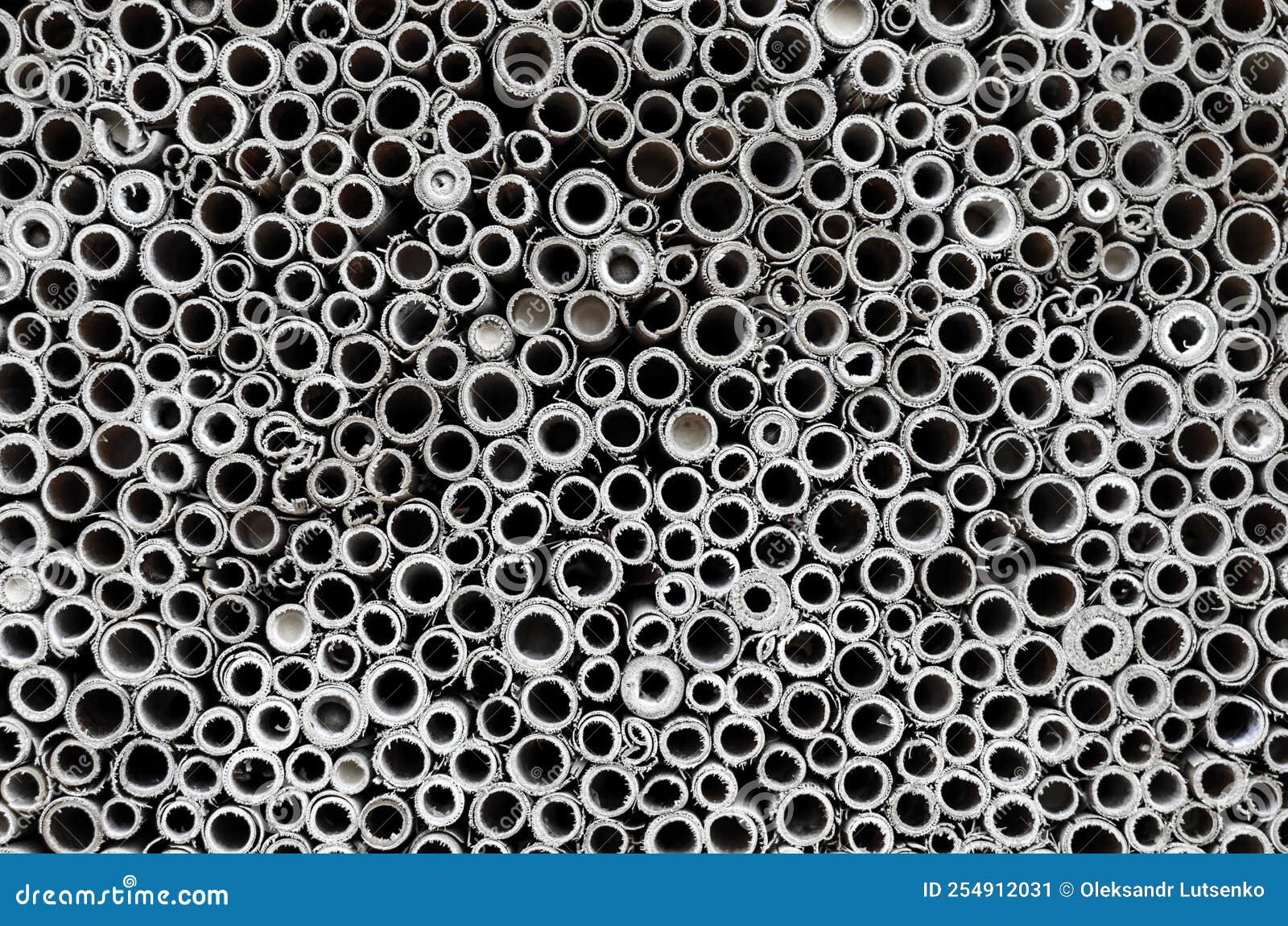 Bamboo Cross Slice on Wall Texture Background Stock Image - Image of ...