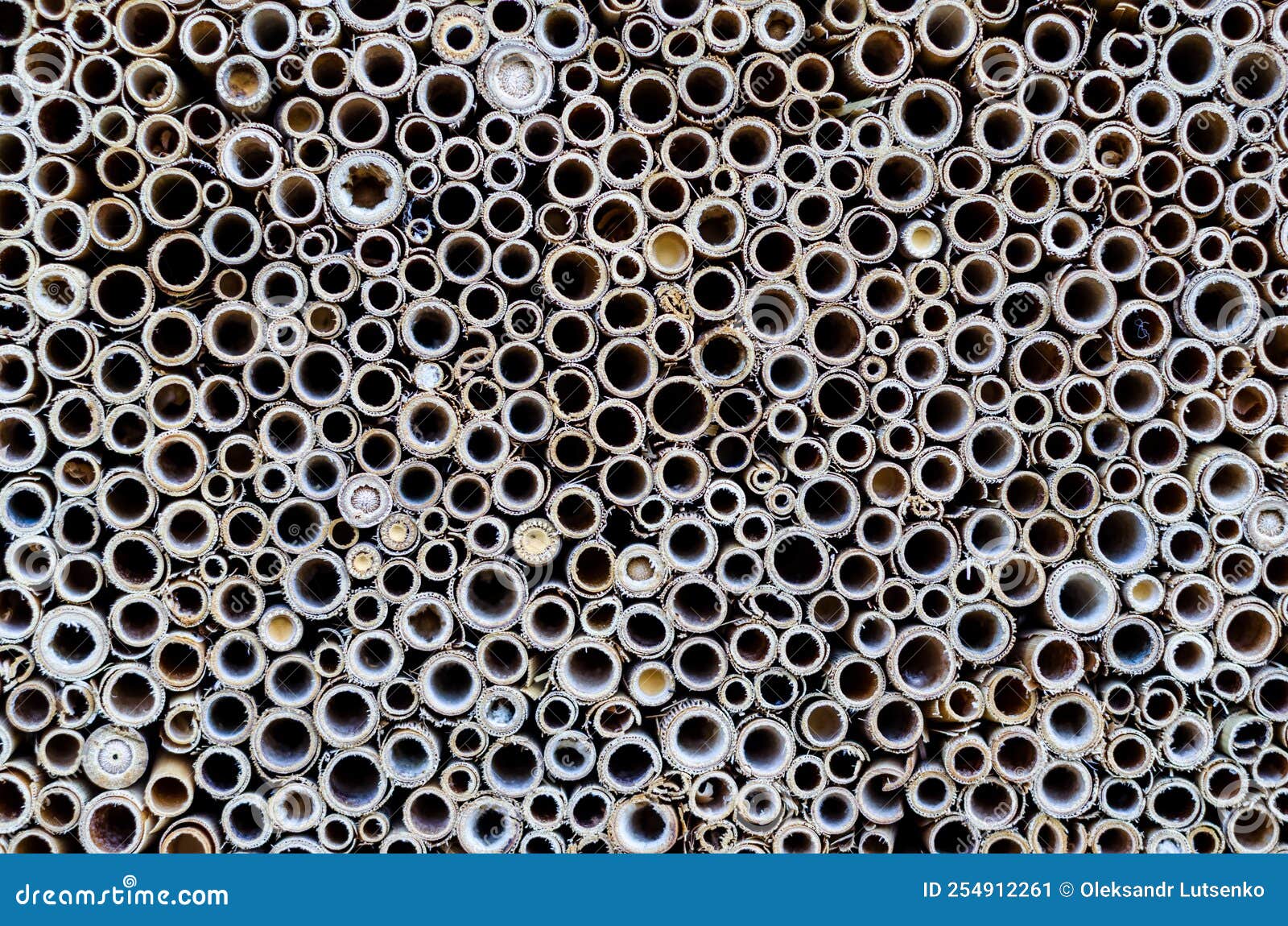 Bamboo Cross Slice Wall Stock Photos - Free & Royalty-Free Stock Photos ...