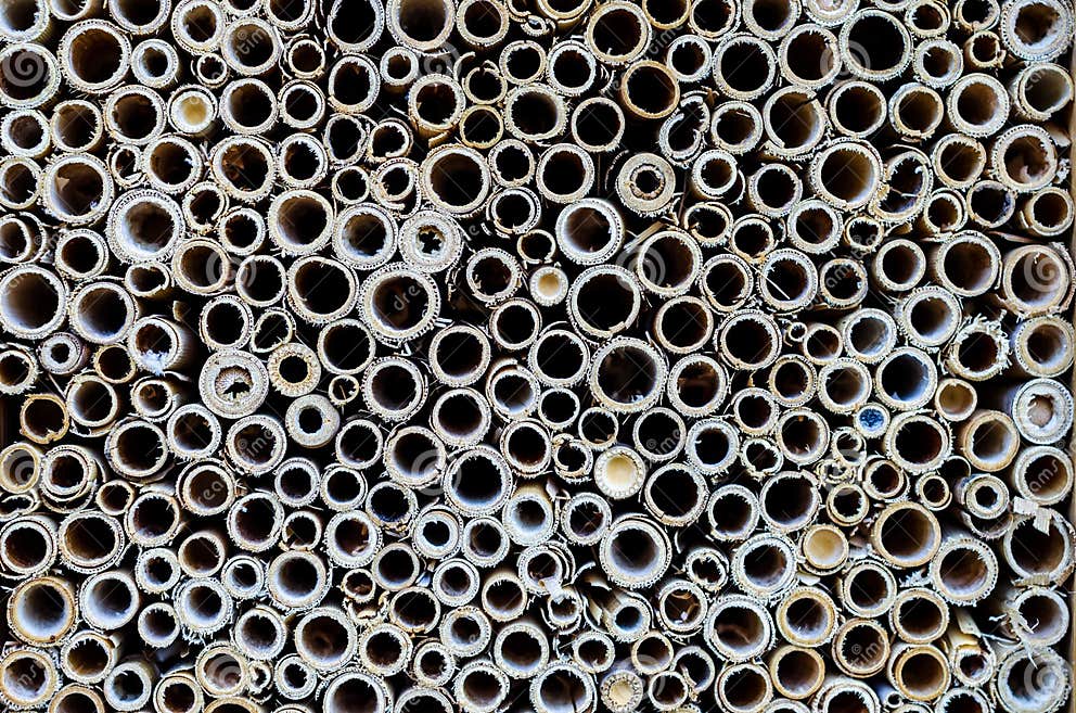 Bamboo Cross Slice on Wall Texture Background Stock Image - Image of ...