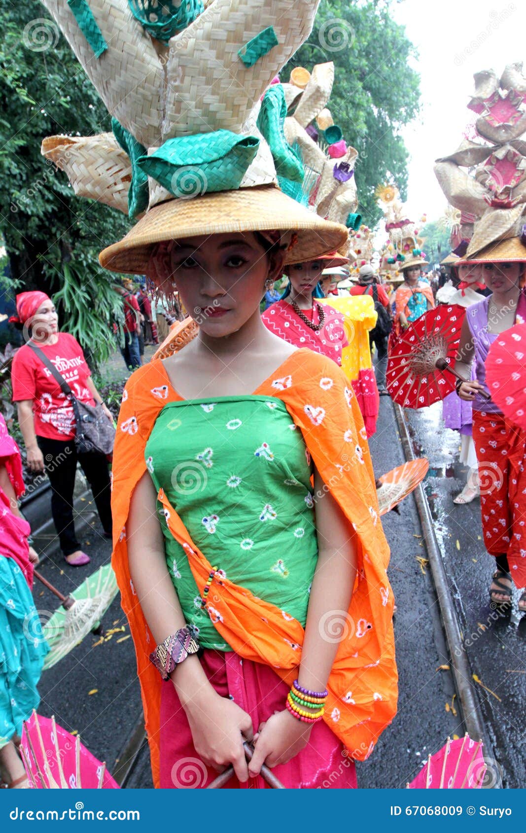 Bamboo crown editorial stock image. Image of environmental - 67068009