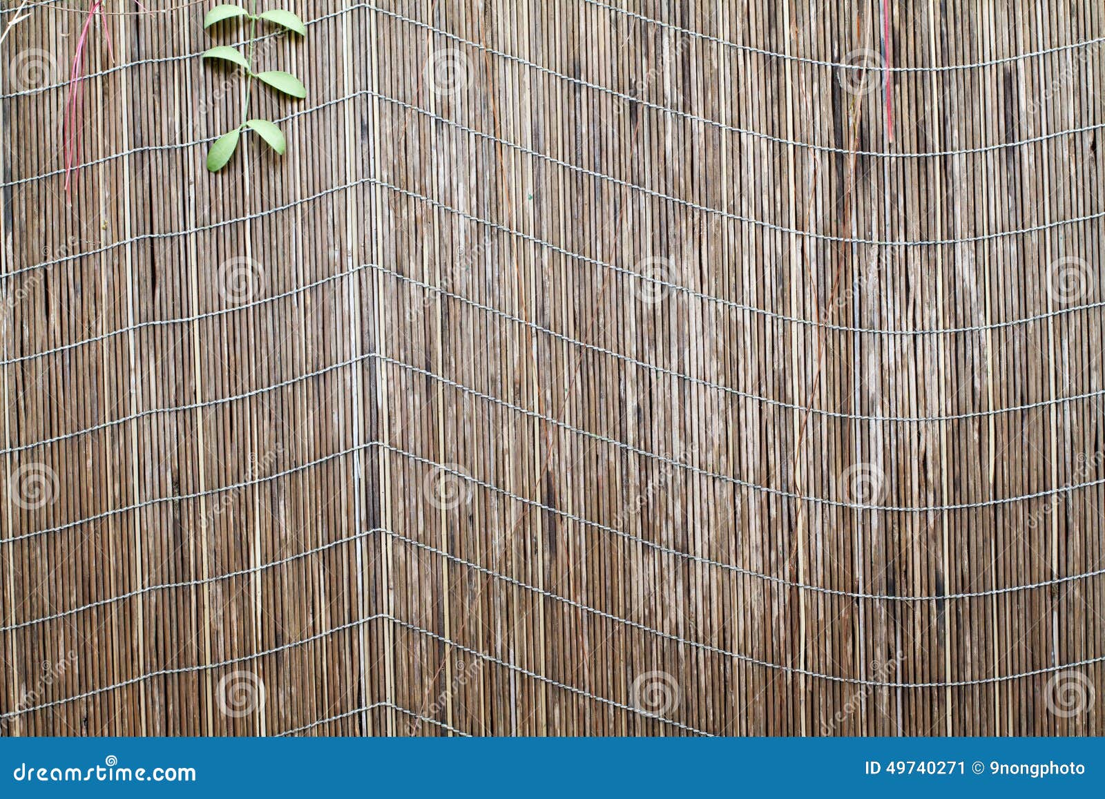 Bamboo Curtain Stock Image | CartoonDealer.com #3004909