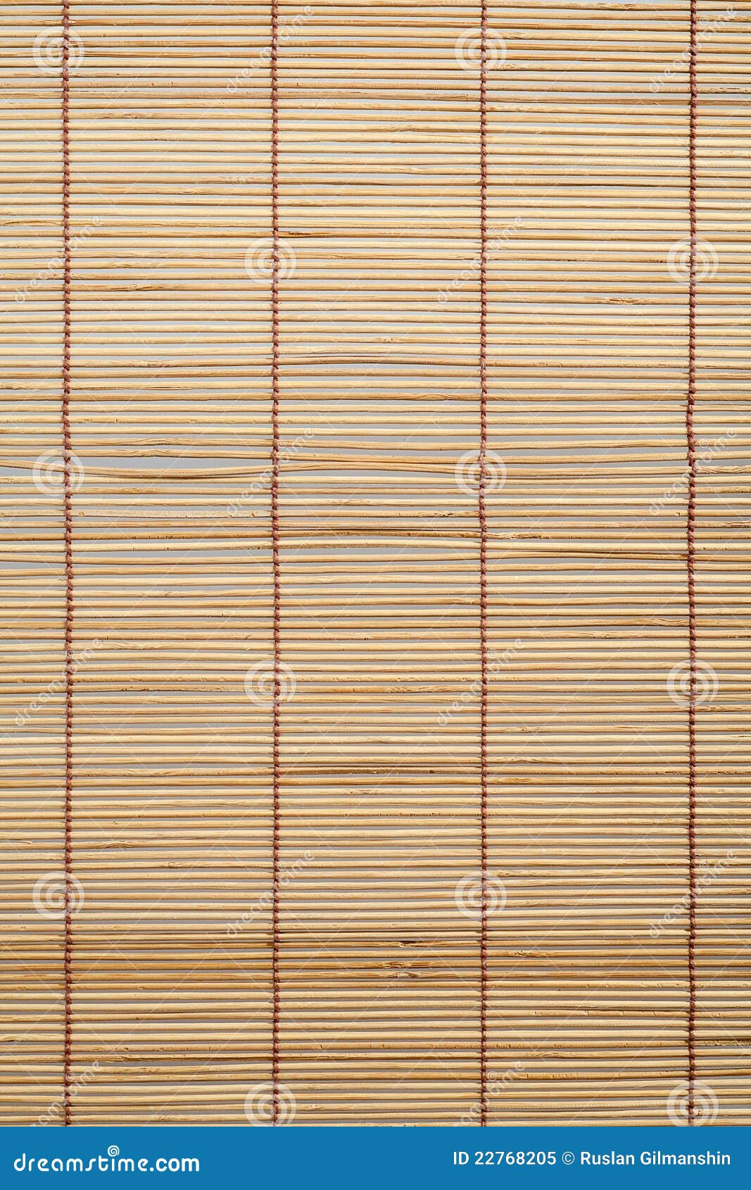 Bamboo Curtain Stock Image | CartoonDealer.com #3004909