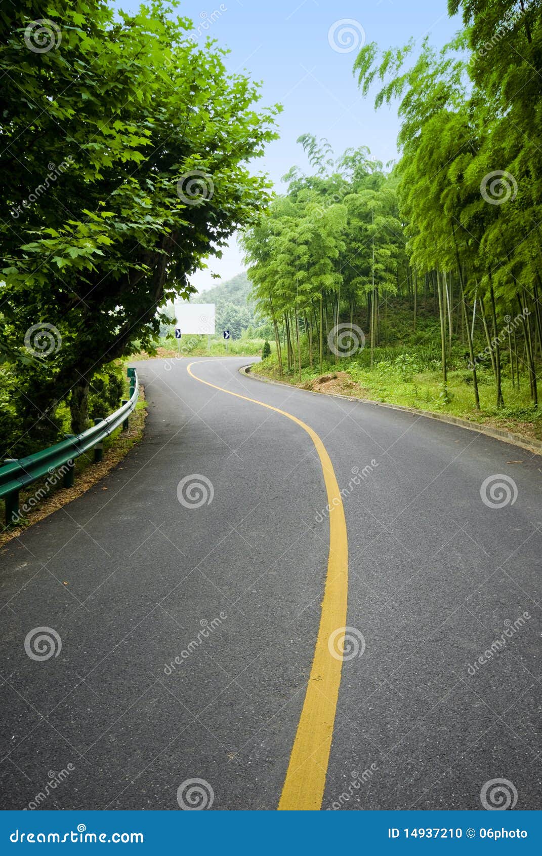 Bamboo and curved road stock photo. Image of leaf, curve - 14937210