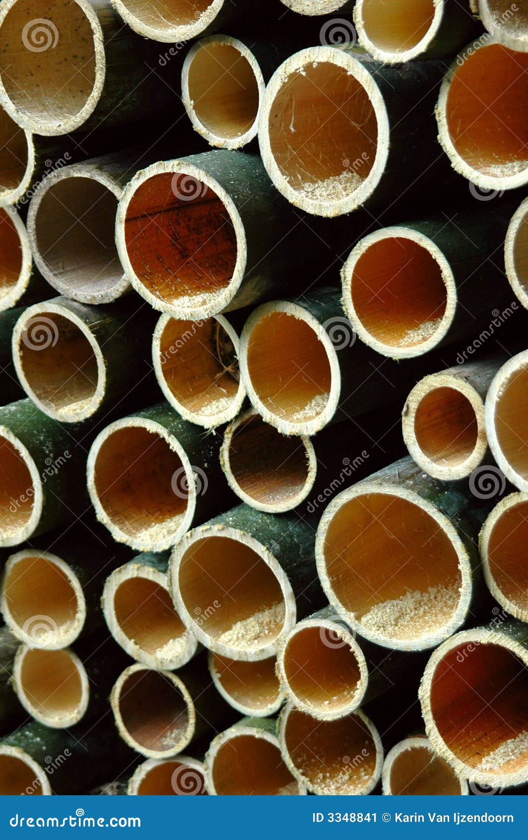 147 Sharp Bamboo Shape Stock Photos - Free & Royalty-Free Stock Photos ...