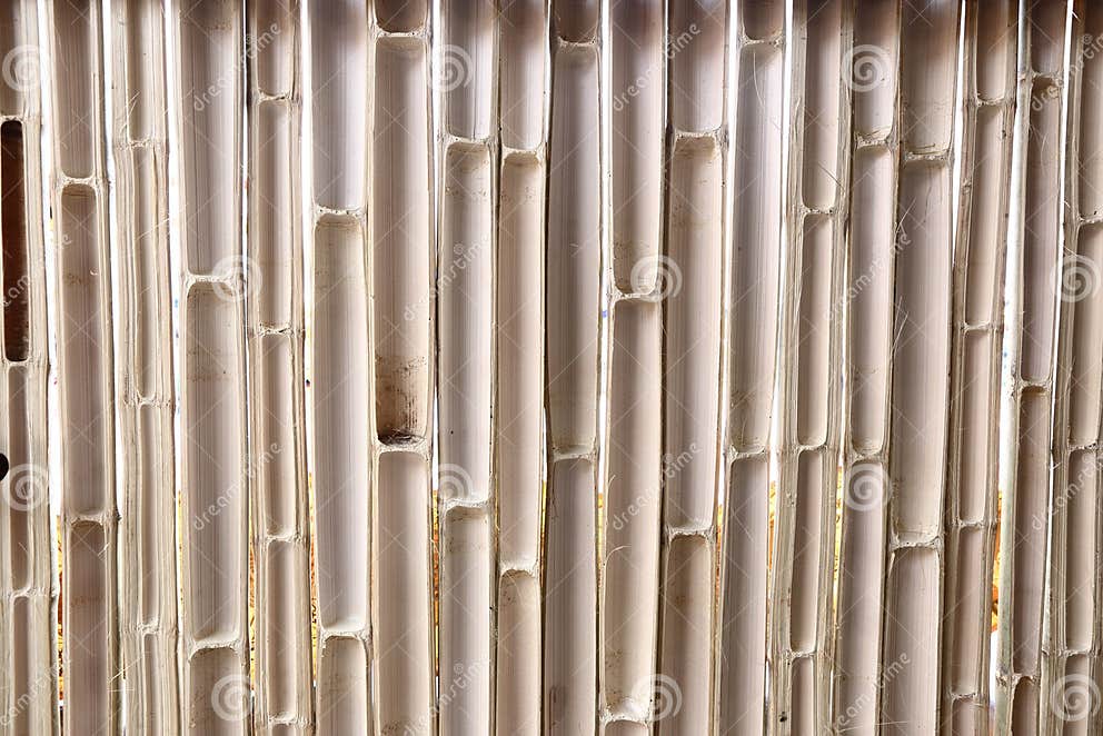 Bamboo Cut in Half and Make a Wall Stock Photo - Image of background ...