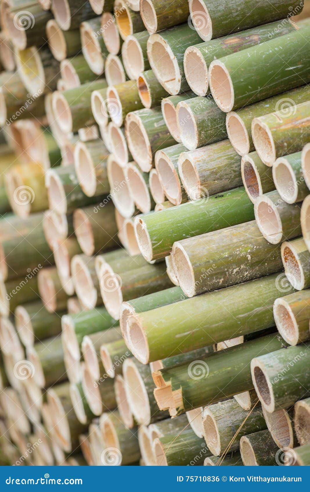 Bamboo Cutted Wood Wall Background Stock Photos - Free & Royalty-Free ...