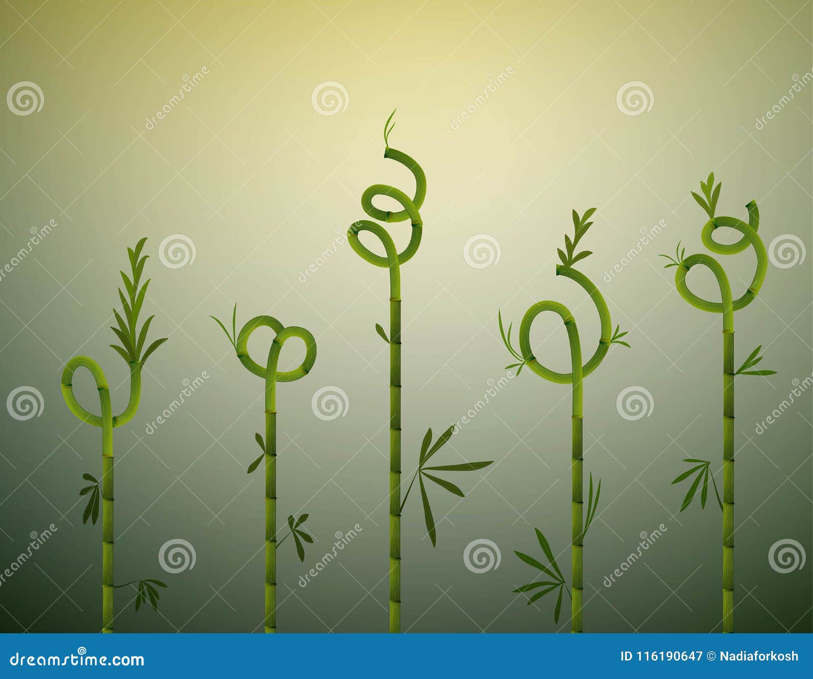 Bamboo decor set, vector stock vector. Illustration of braided - 116190647