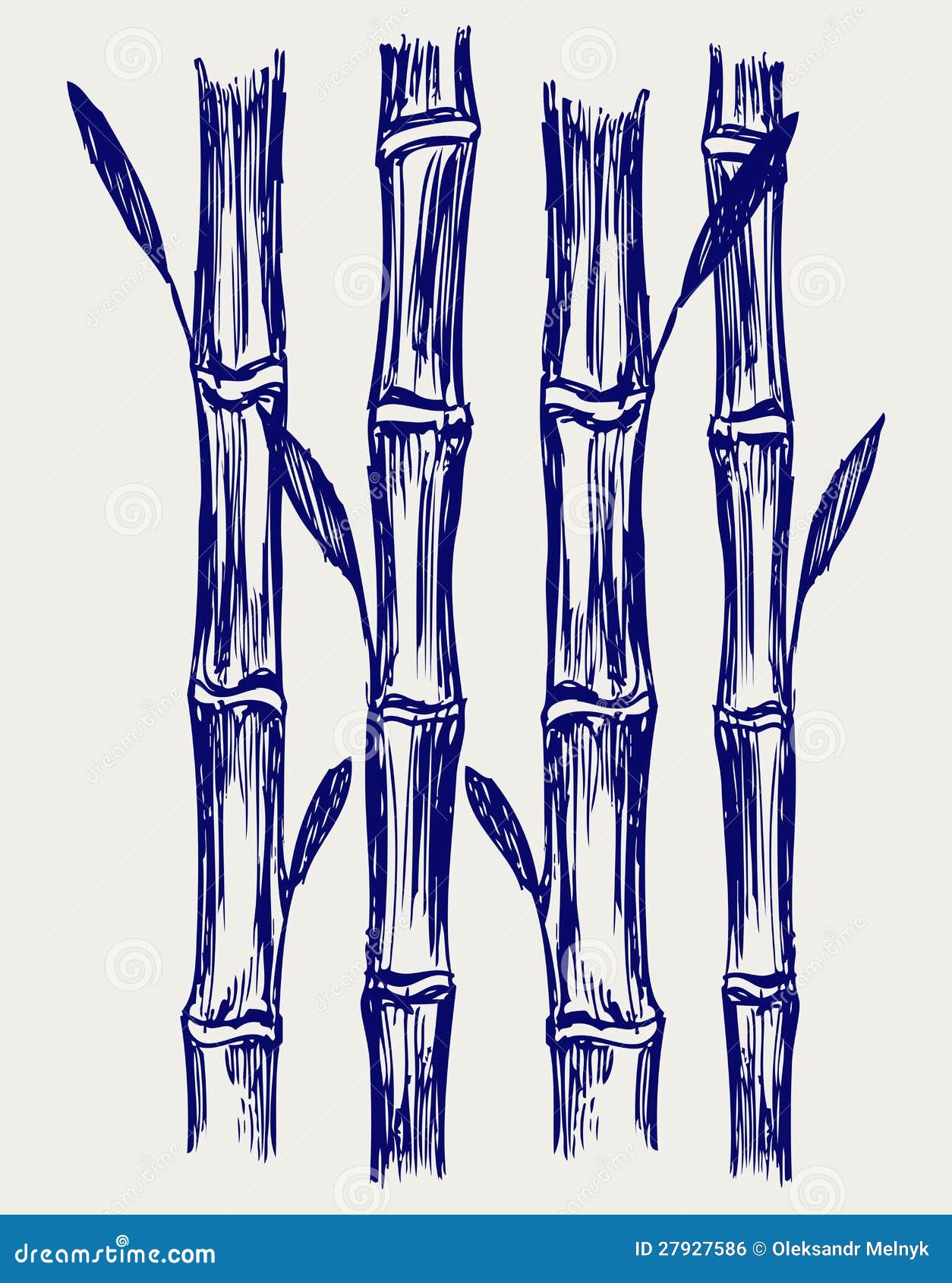 Bamboo. Doodle style stock vector. Illustration of object - 27927586