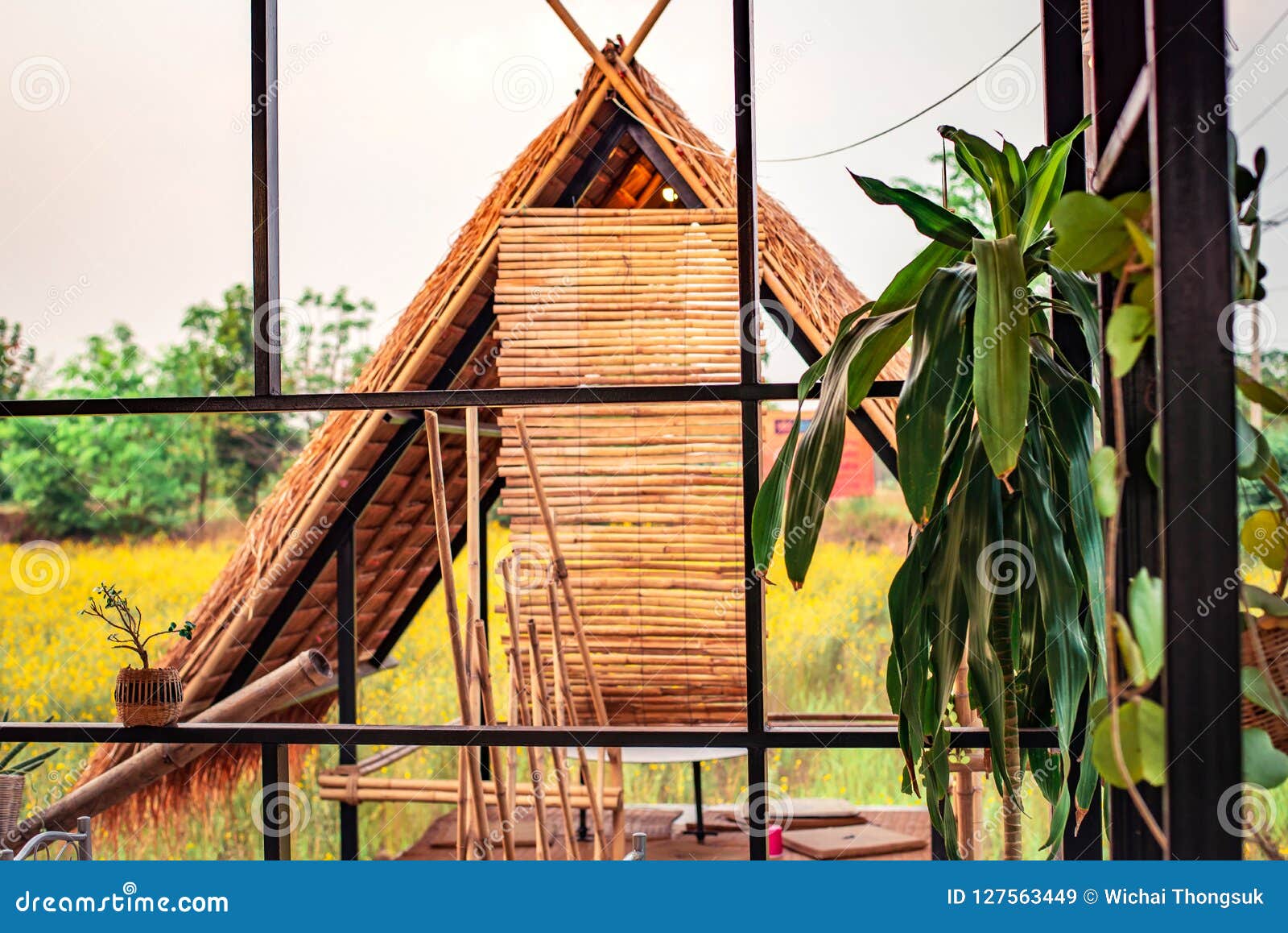 The bamboo in the farm stock image. Image of design - 127563449