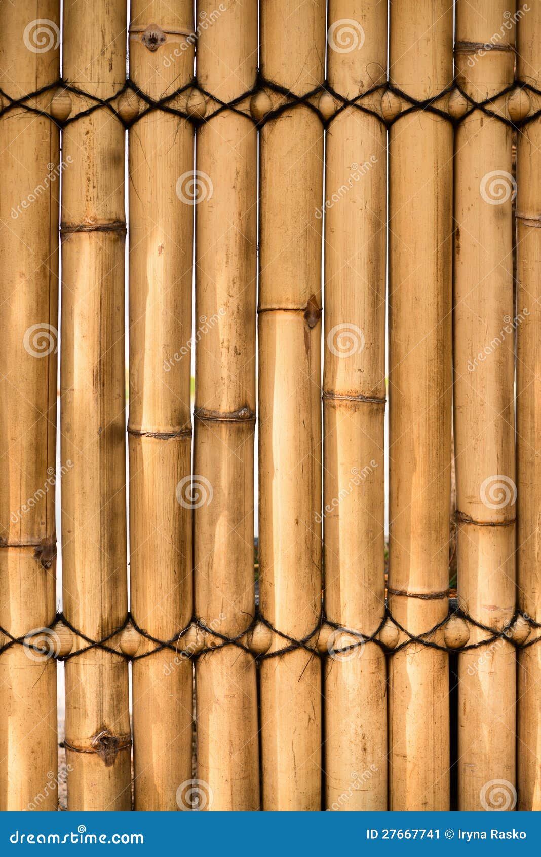 Bamboo fence stock image. Image of chinese, bamboo, material - 27667741