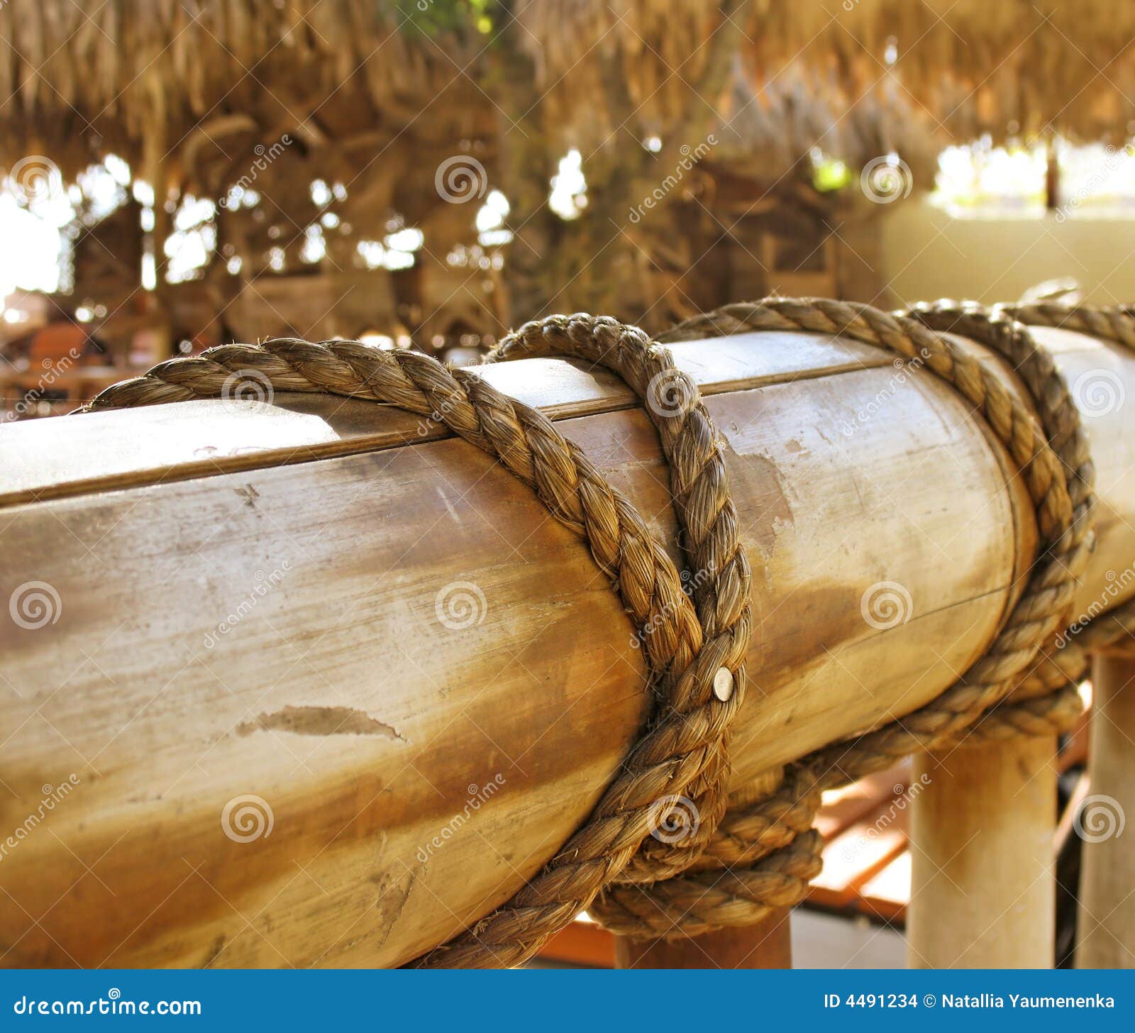 Bamboo fence stock photo. Image of knot, sunshine, protection - 4491234