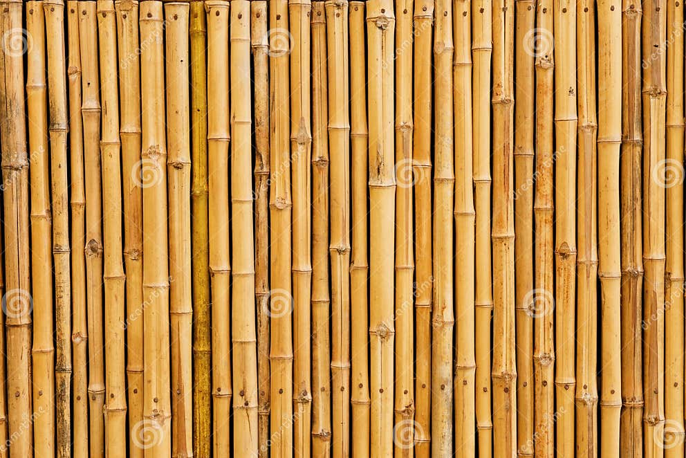Bamboo fence background stock image. Image of bough, decor - 37545793