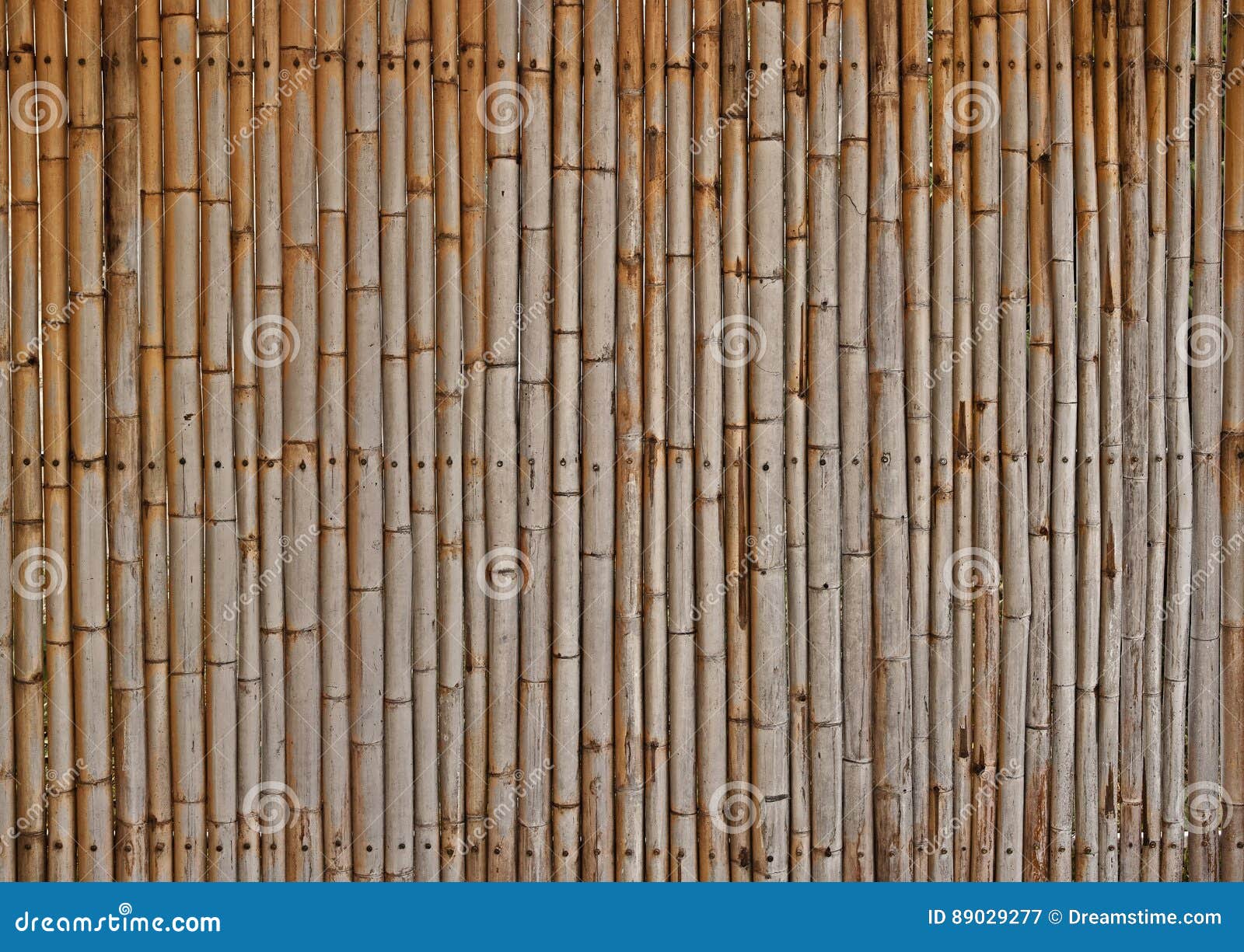 Bamboo fence background. stock image. Image of bamboo - 89029277
