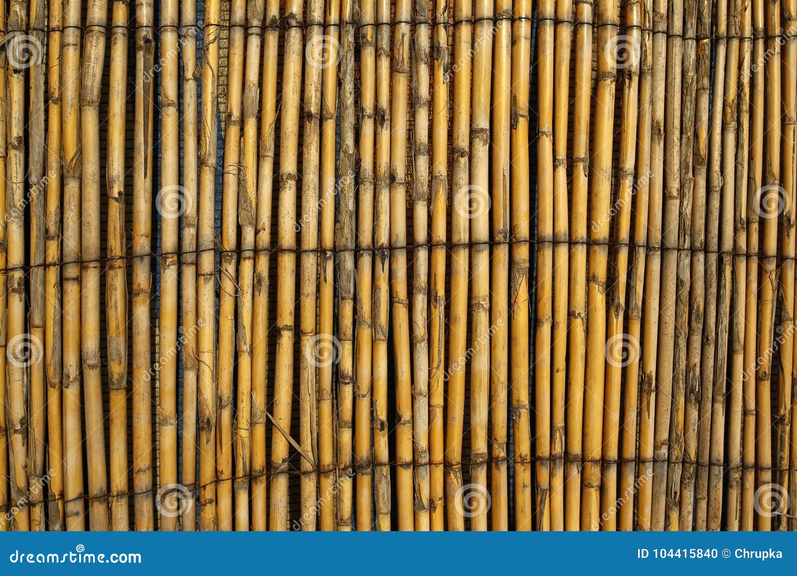 Bamboo fence background stock photo. Image of interior - 104415840