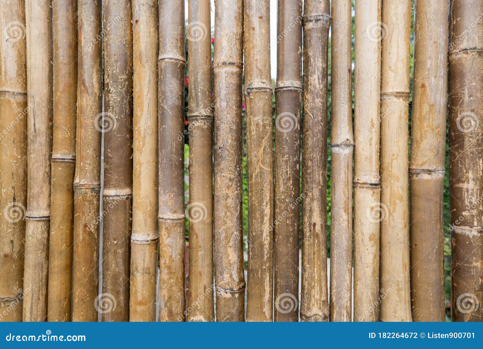 Bamboo fence background stock photo. Image of twig, round - 182264672