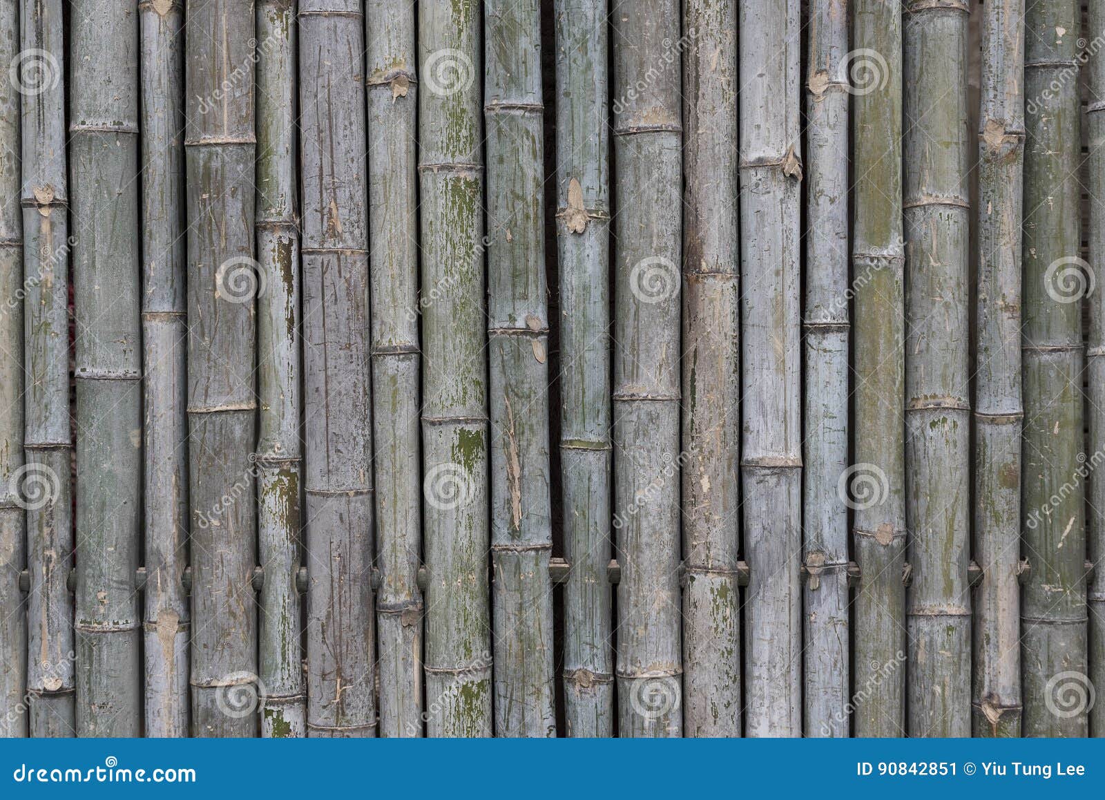 Details Of Old Bamboo Roots, Texture Stock Photography | CartoonDealer ...