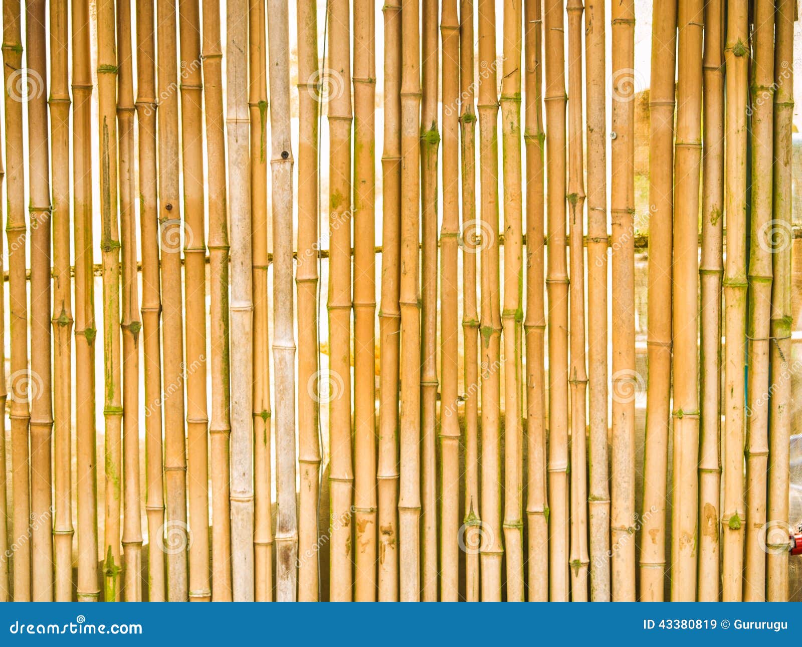 Bamboo fence background stock image. Image of twig, bamboo - 43380819
