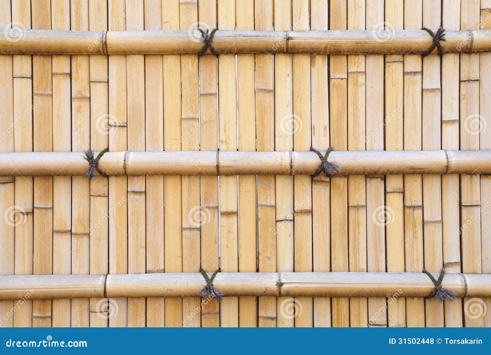 Bamboo fence stock photo. Image of growth, culture, bunch - 31502448