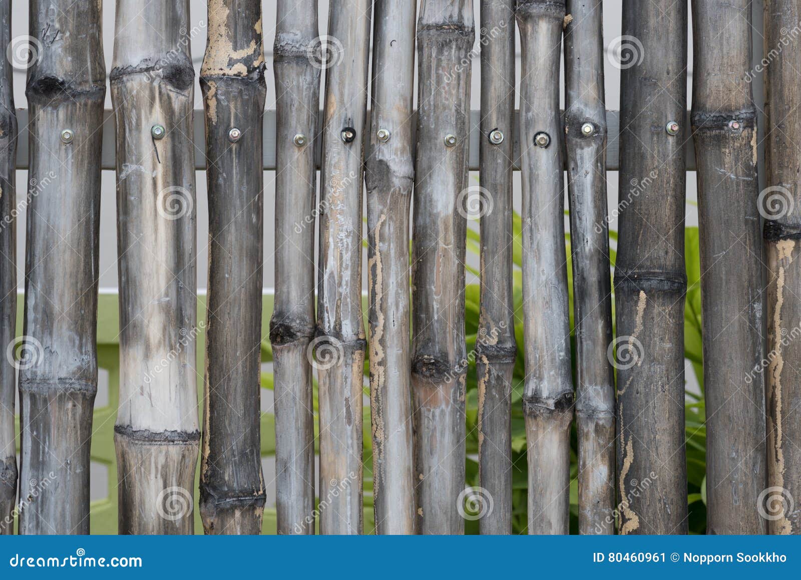 Bamboo fence background stock image. Image of fence, brown - 80460961