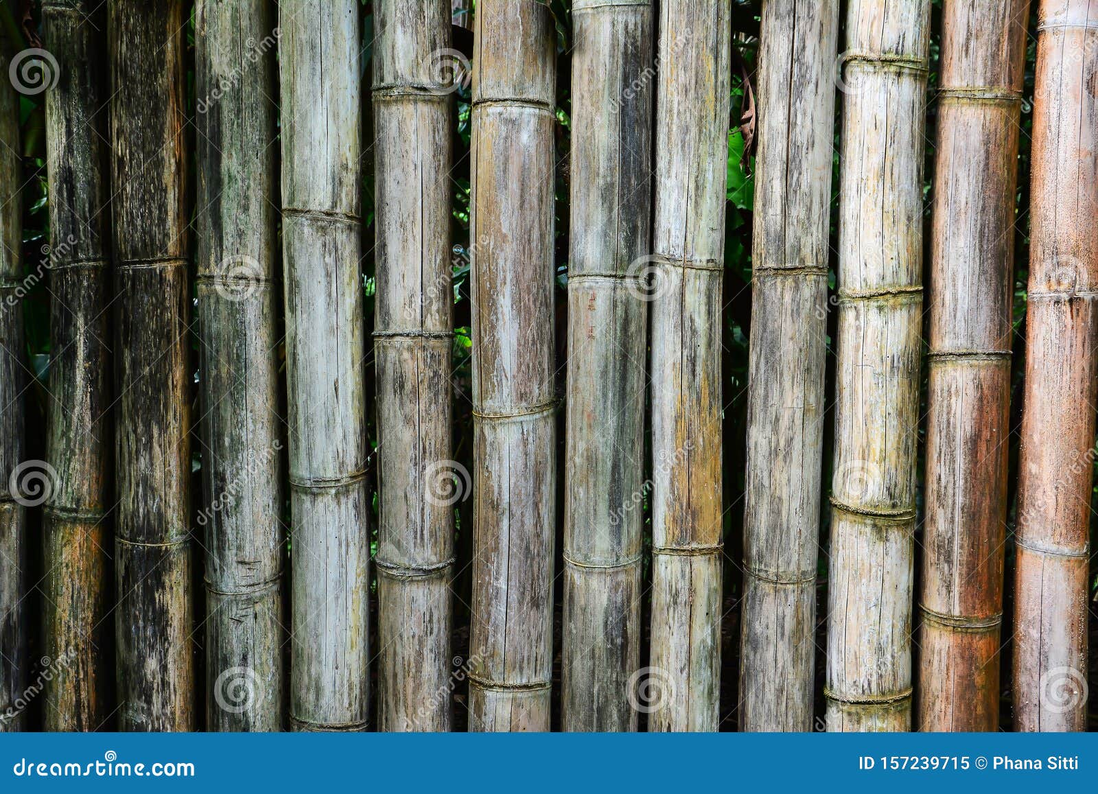 Bamboo Fence Background Texture Stock Image - Image of classic ...