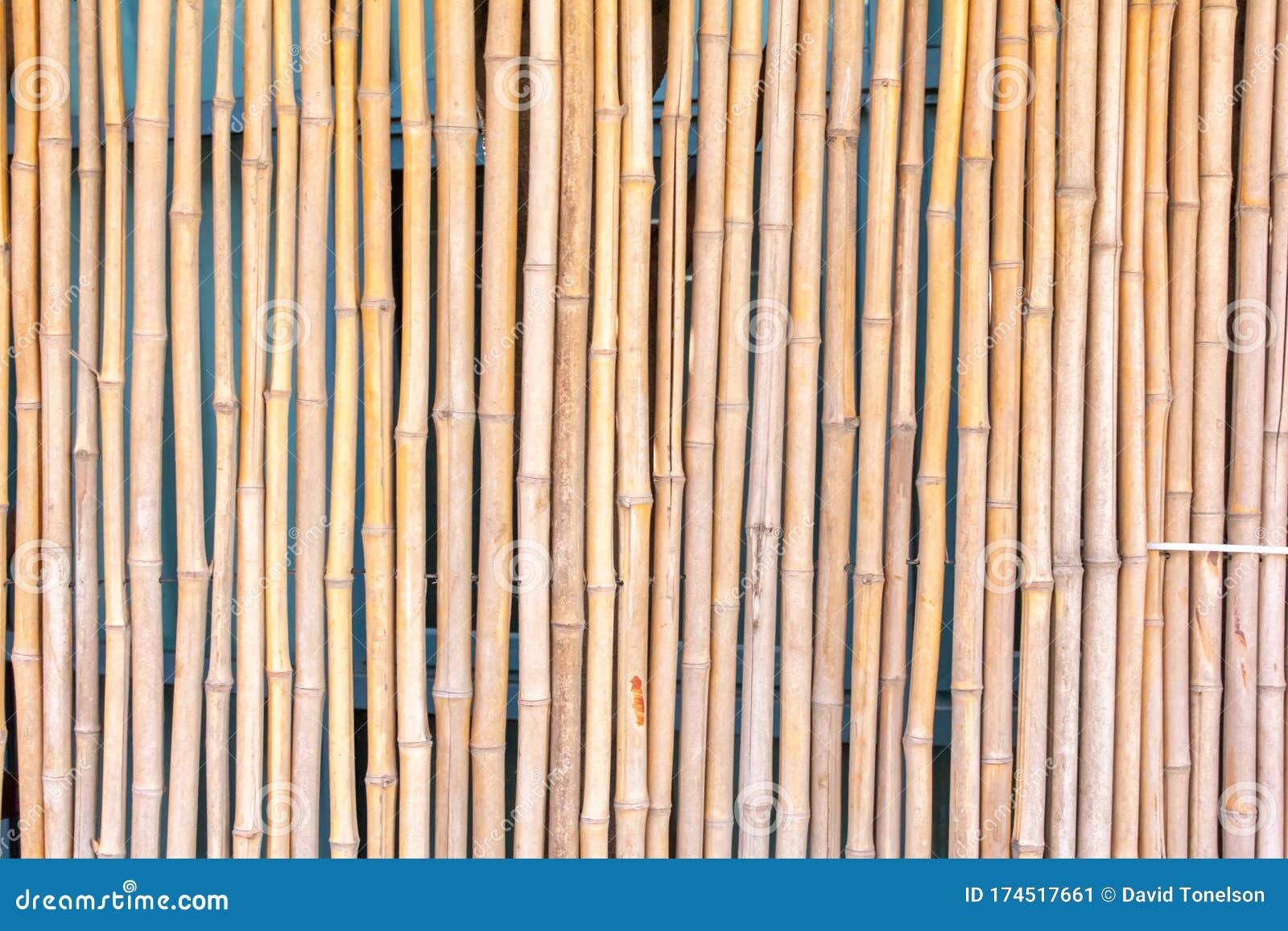 Bamboo fence background stock image. Image of asian - 174517661