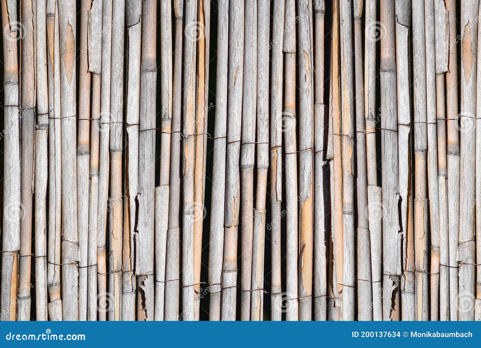 Bamboo Fence Held Together with Wires Stock Photo - Image of decor ...