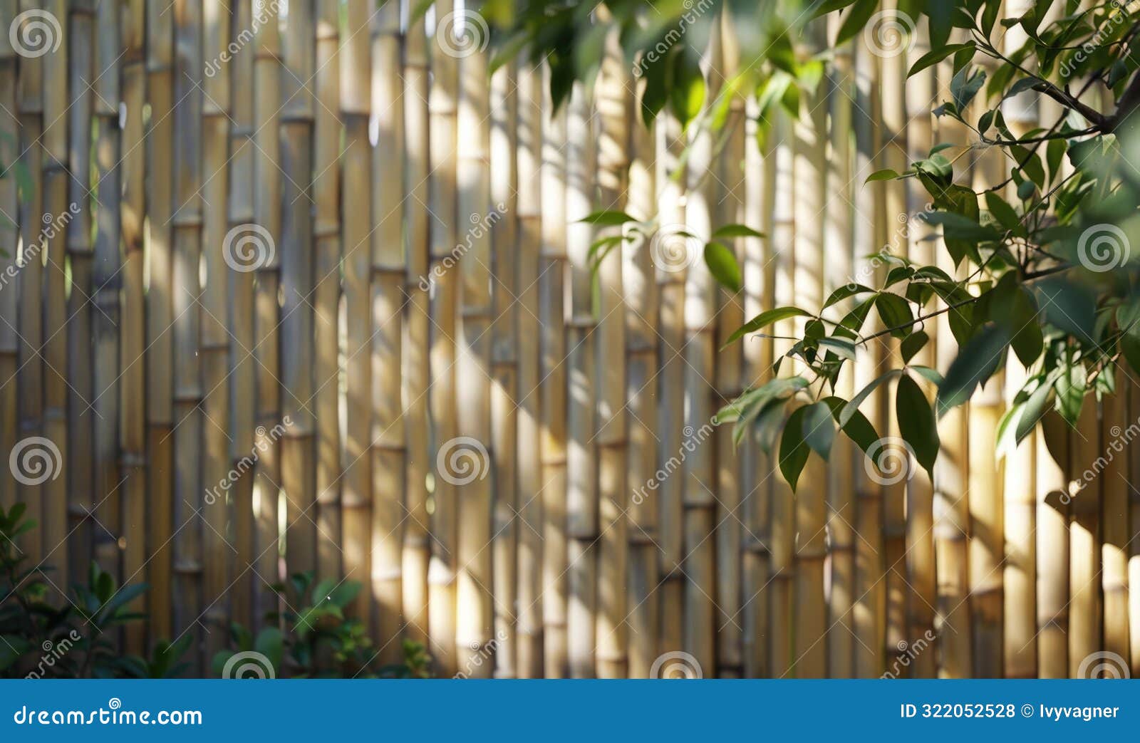 Bamboo Fence with Light and Shadow, Bamboo Background Stock ...