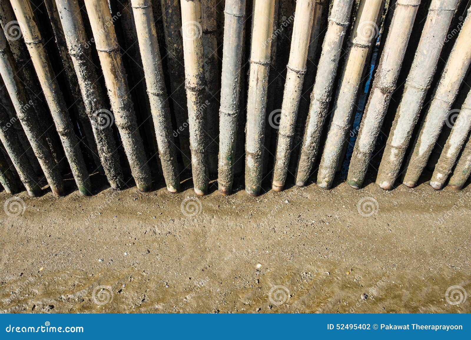 Bamboo fence in mud beach stock photo. Image of architecture - 52495402