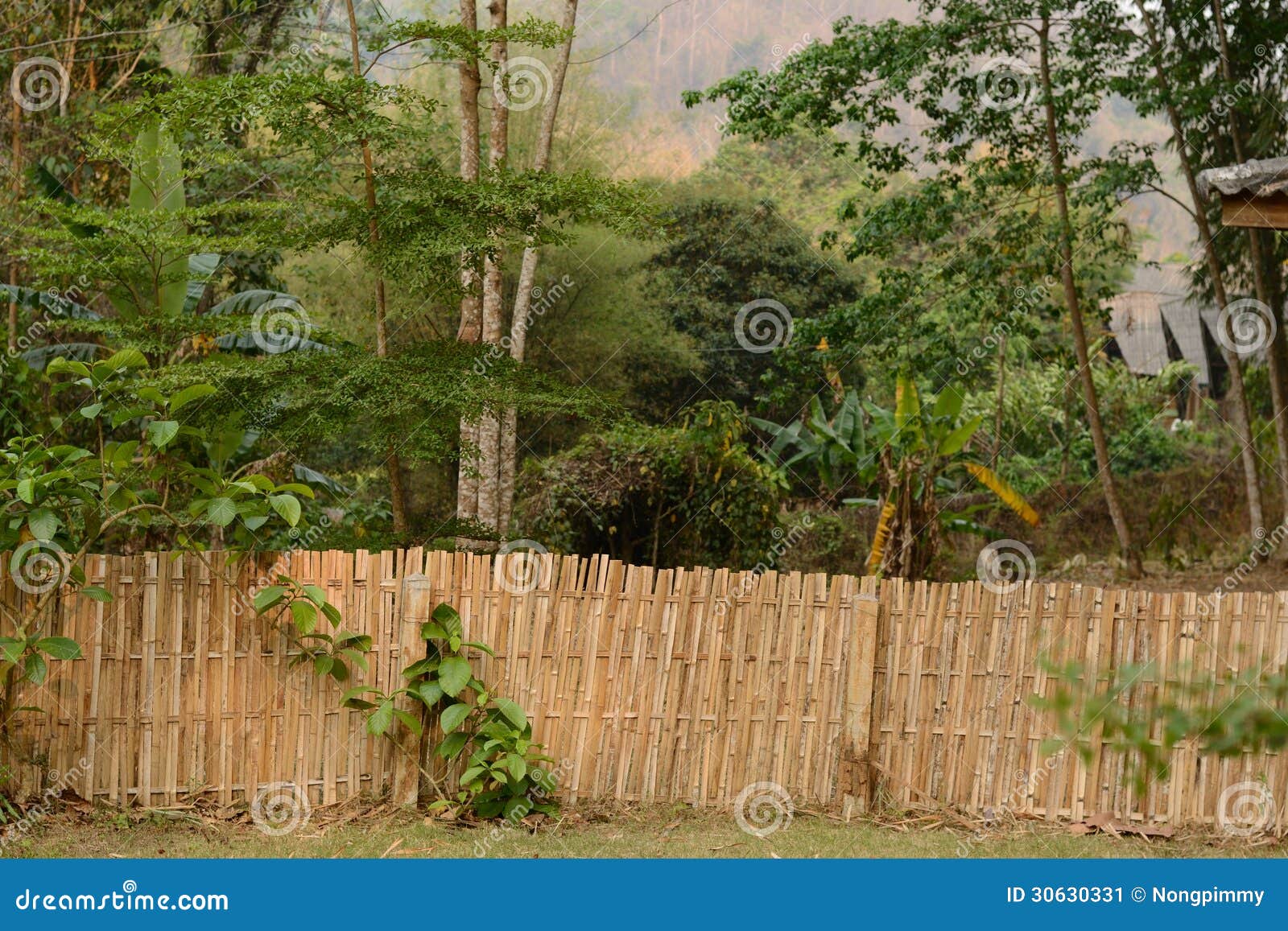 Bamboo fence stock image. Image of asian, traditional - 30630331