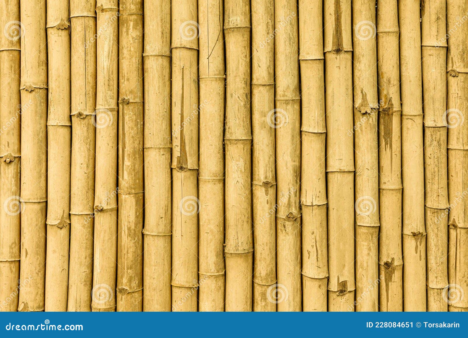 Bamboo Fence Texture and Background Seamless Stock Image - Image of ...
