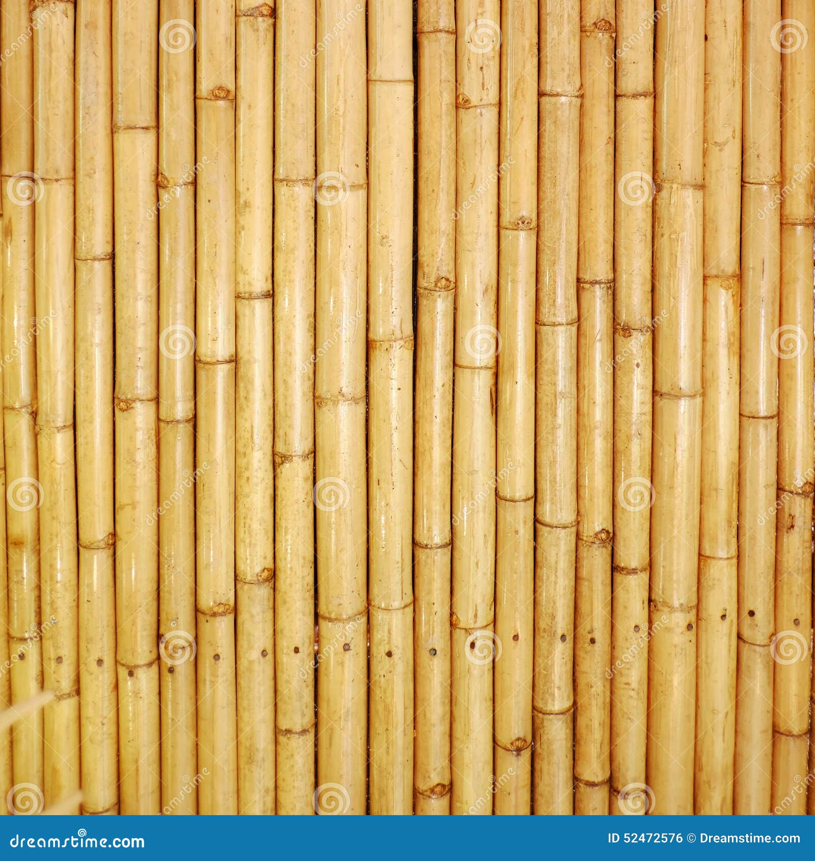 Bamboo fence texture stock photo. Image of growth, branch - 52472576